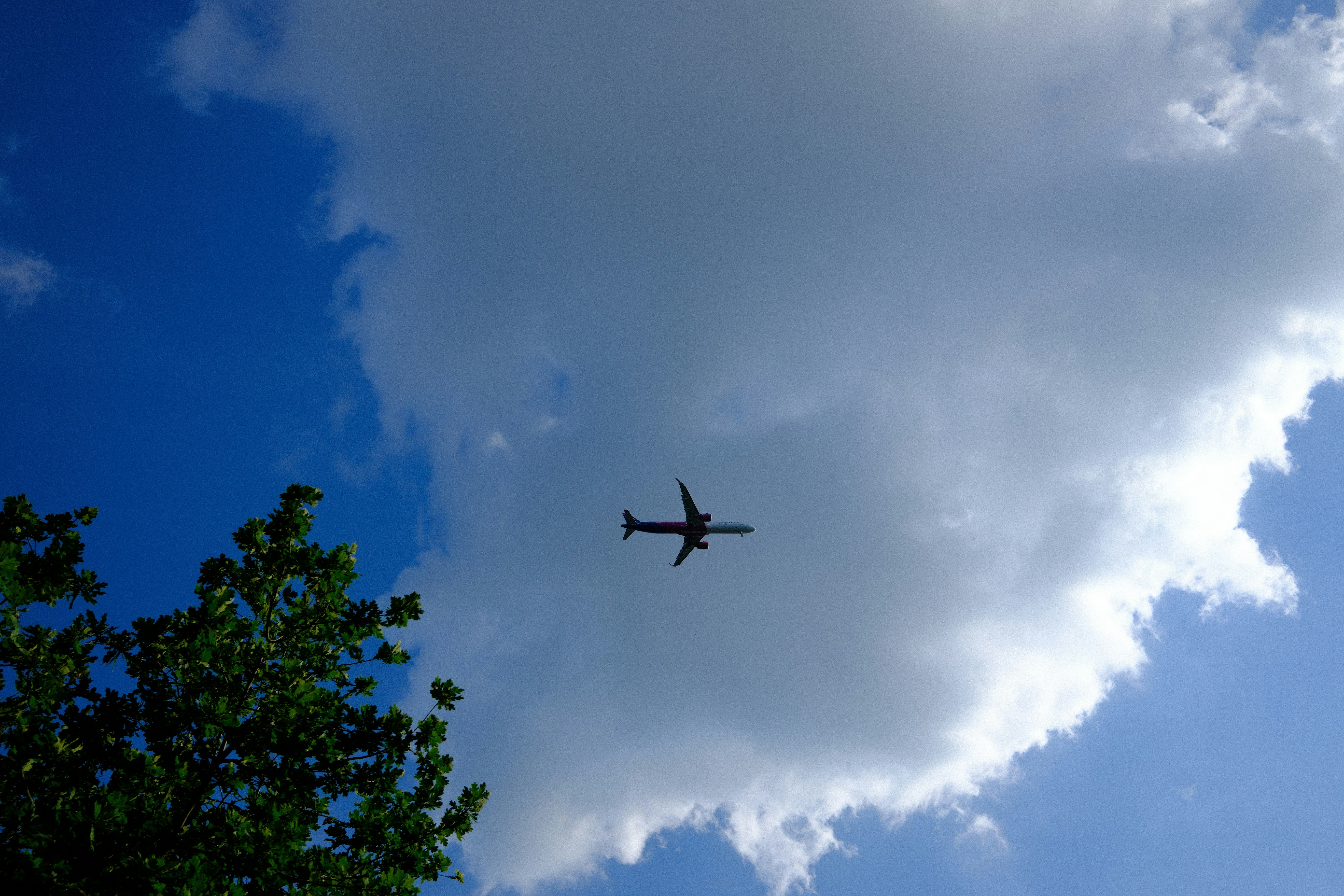 Jet Silhouette cutting through a cumulus veil