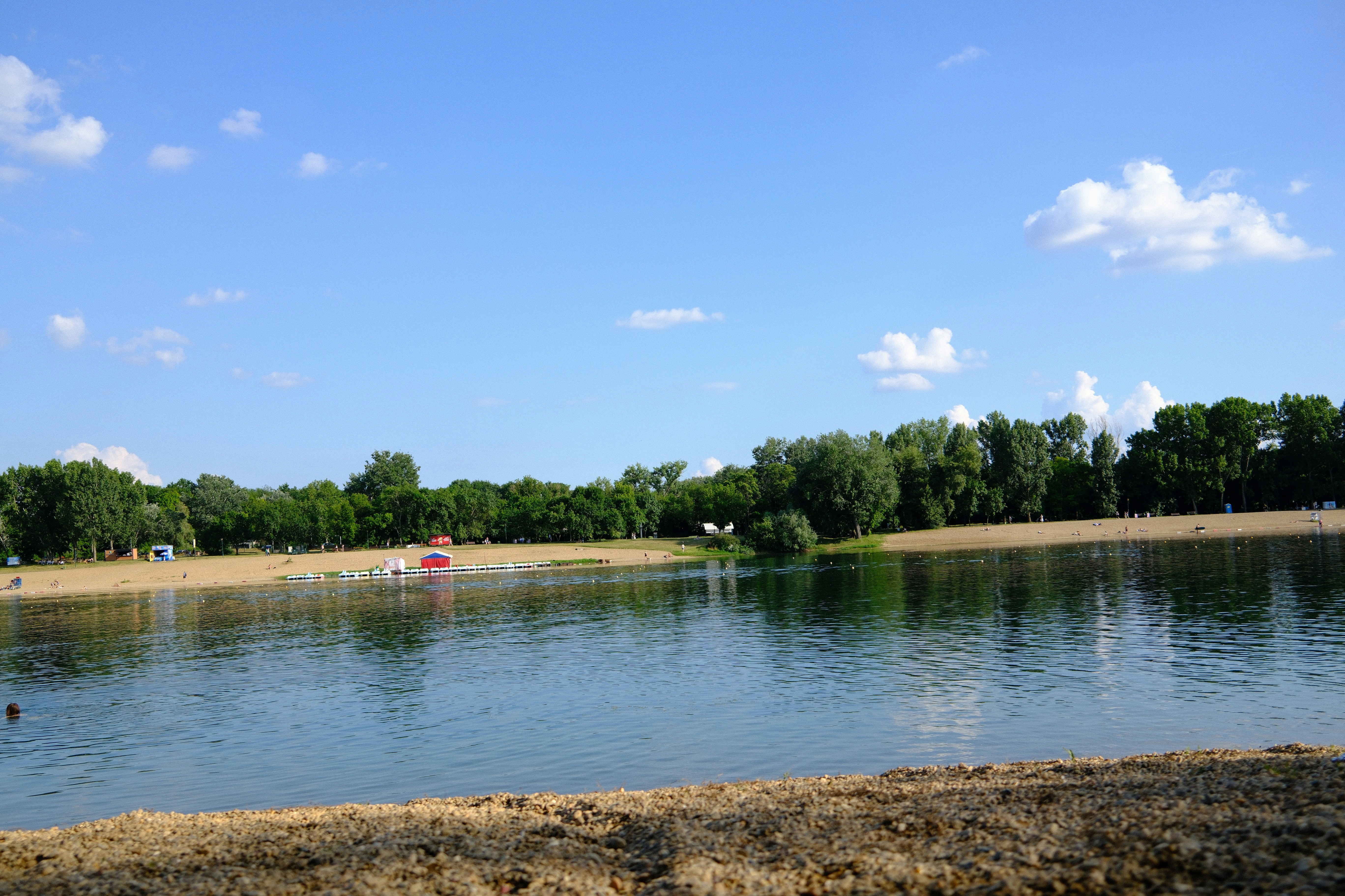 Quiet lakeside horizon under a bright summer sky