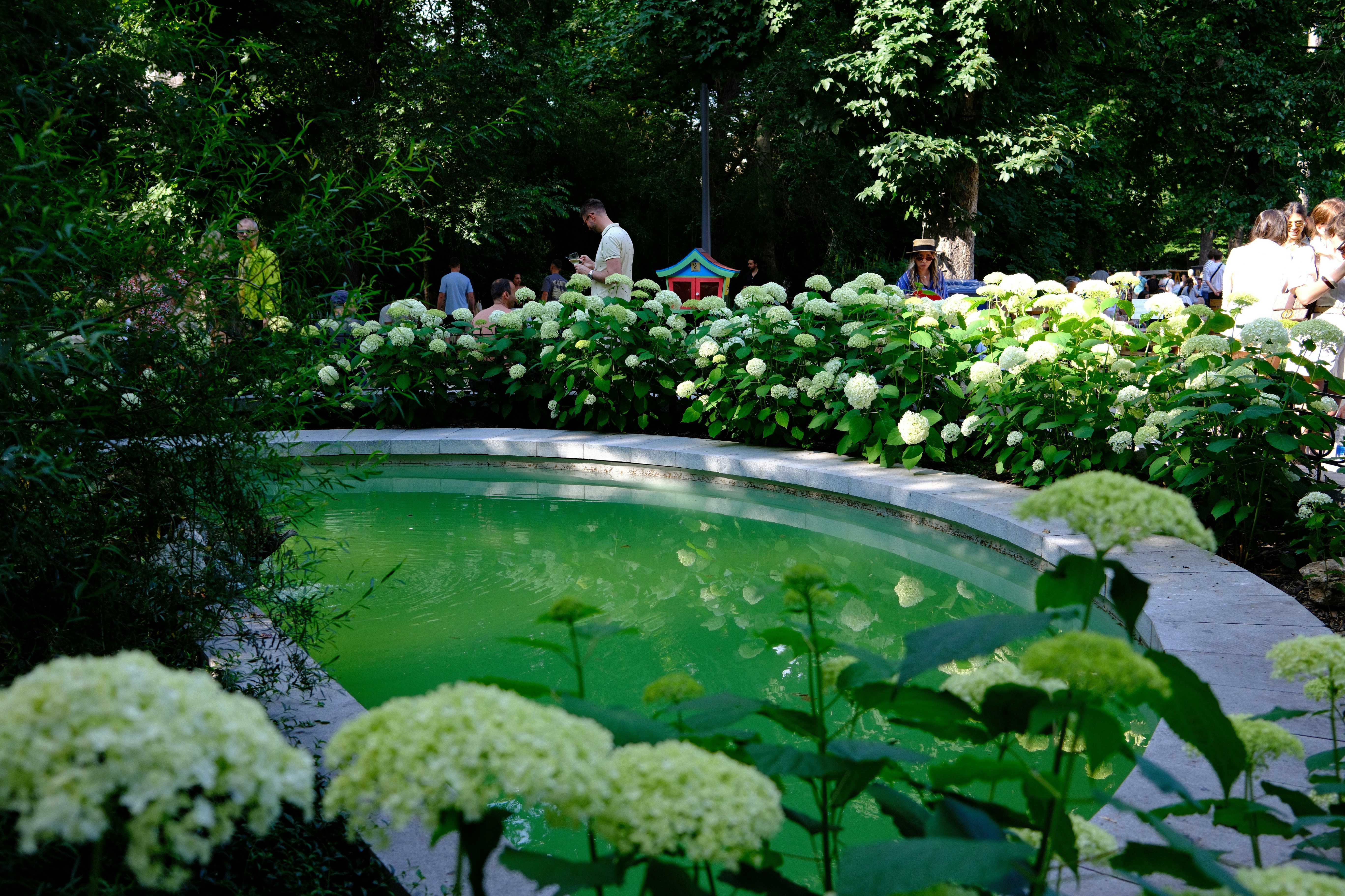 Hydrangea Ring and Green Basin: A Quiet Moment in the Park