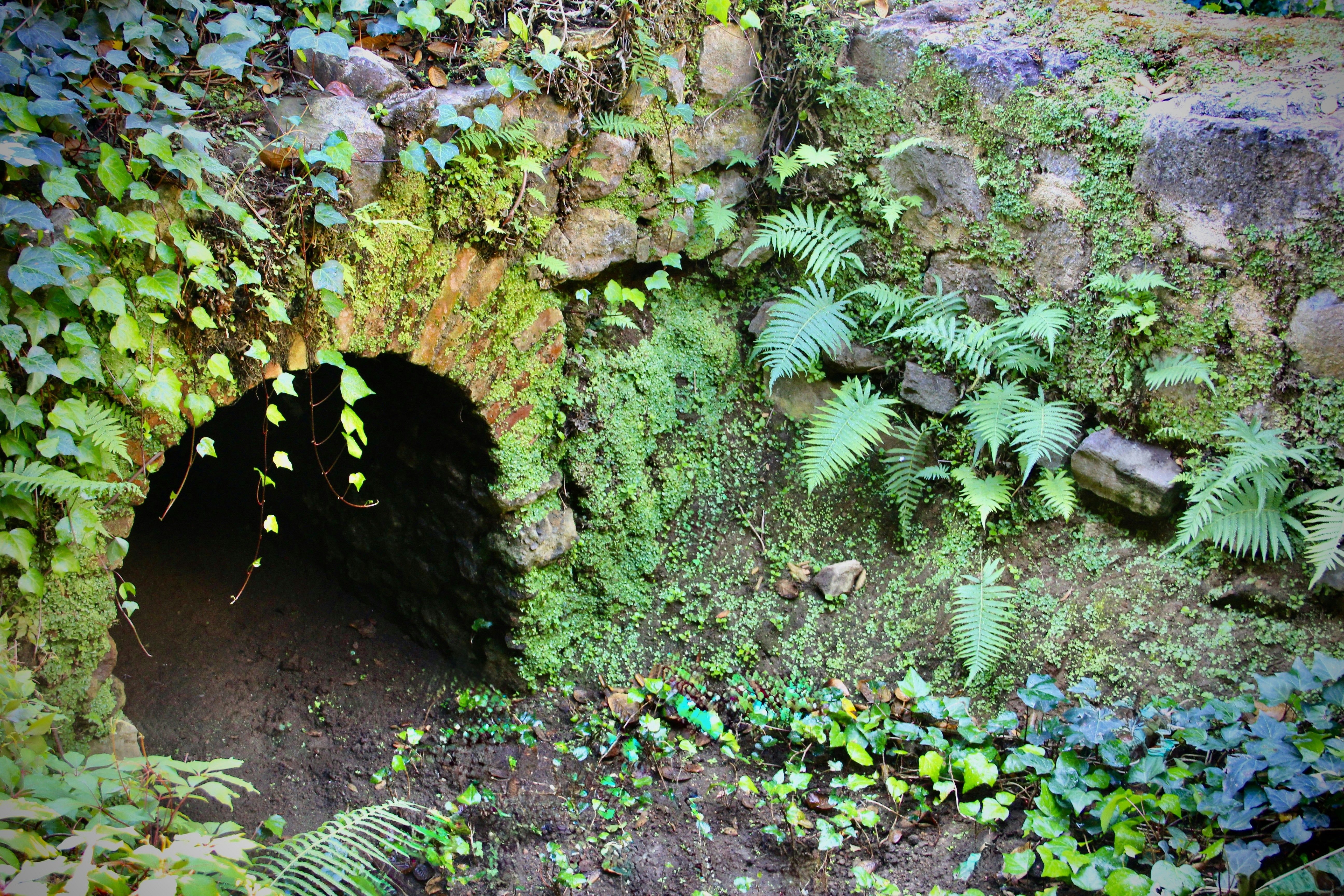 Hidden Garden Archivist: Mossy Tunnel Gate