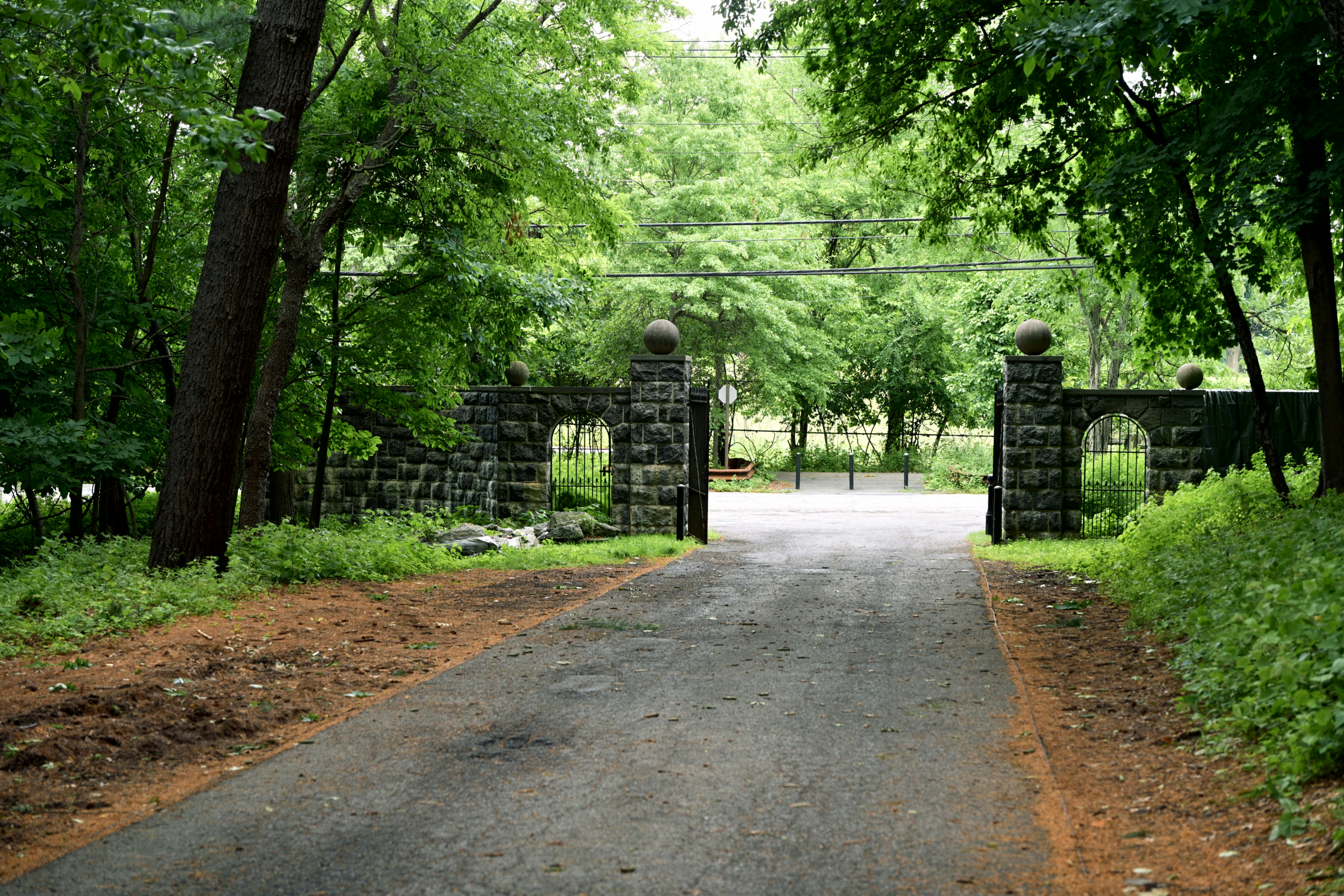 Gateway to Green: A Quiet Path Through a Lustrous Courtyard