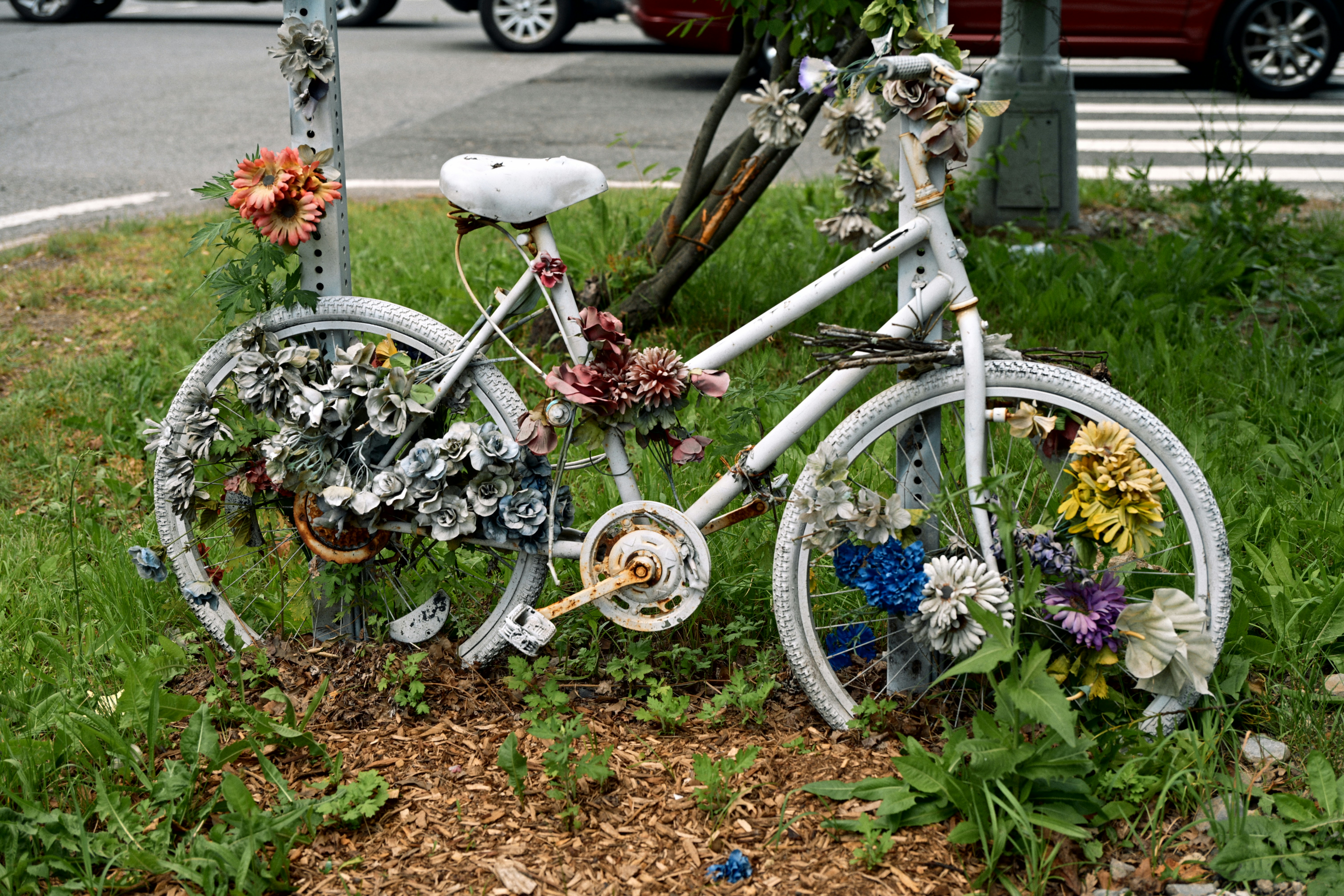 Floral-Steeped Ride: A Painted Bicycle Adorns the Garden Path