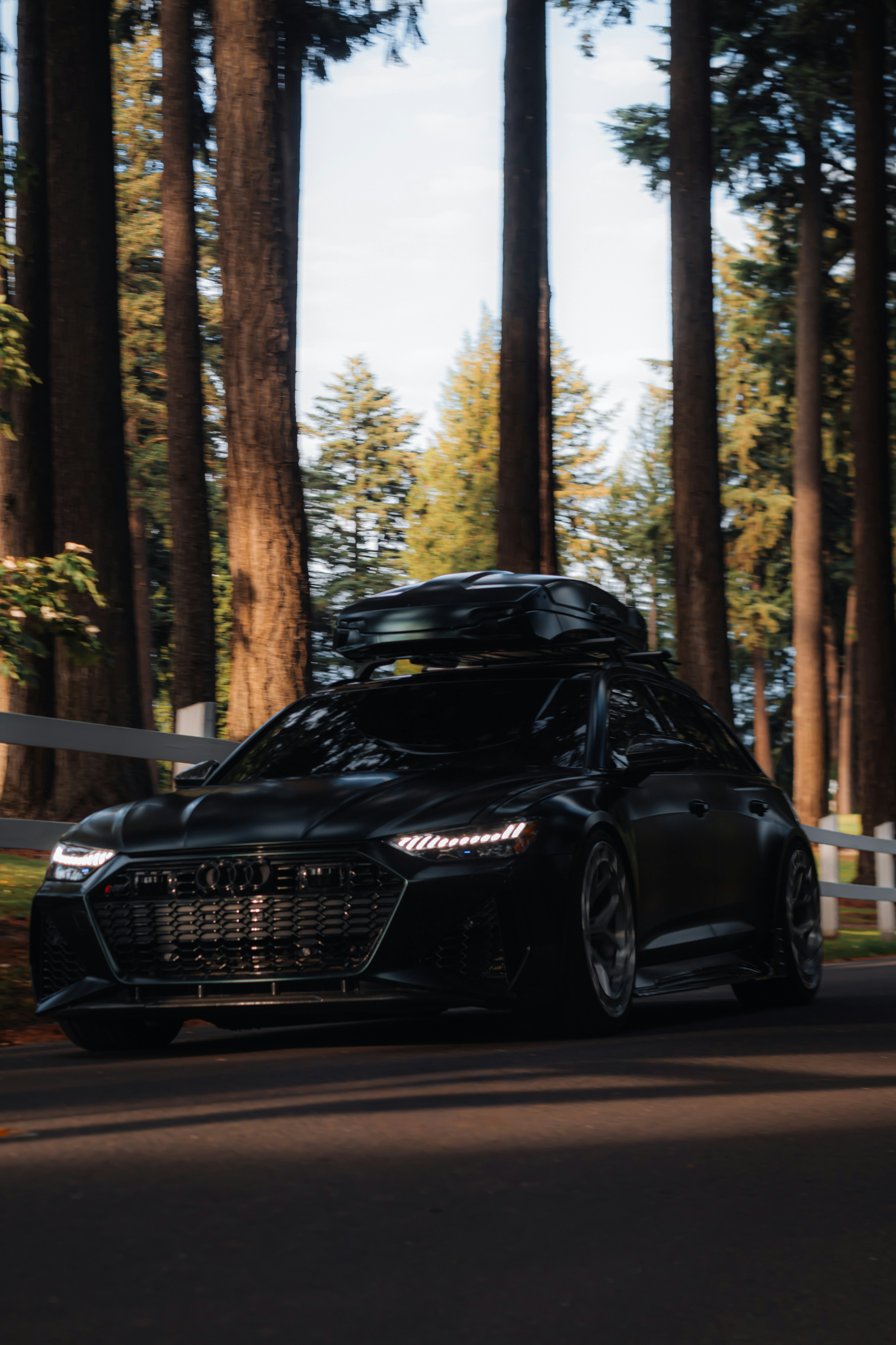 Dark Audi A8 roams a sun-dappled forest road