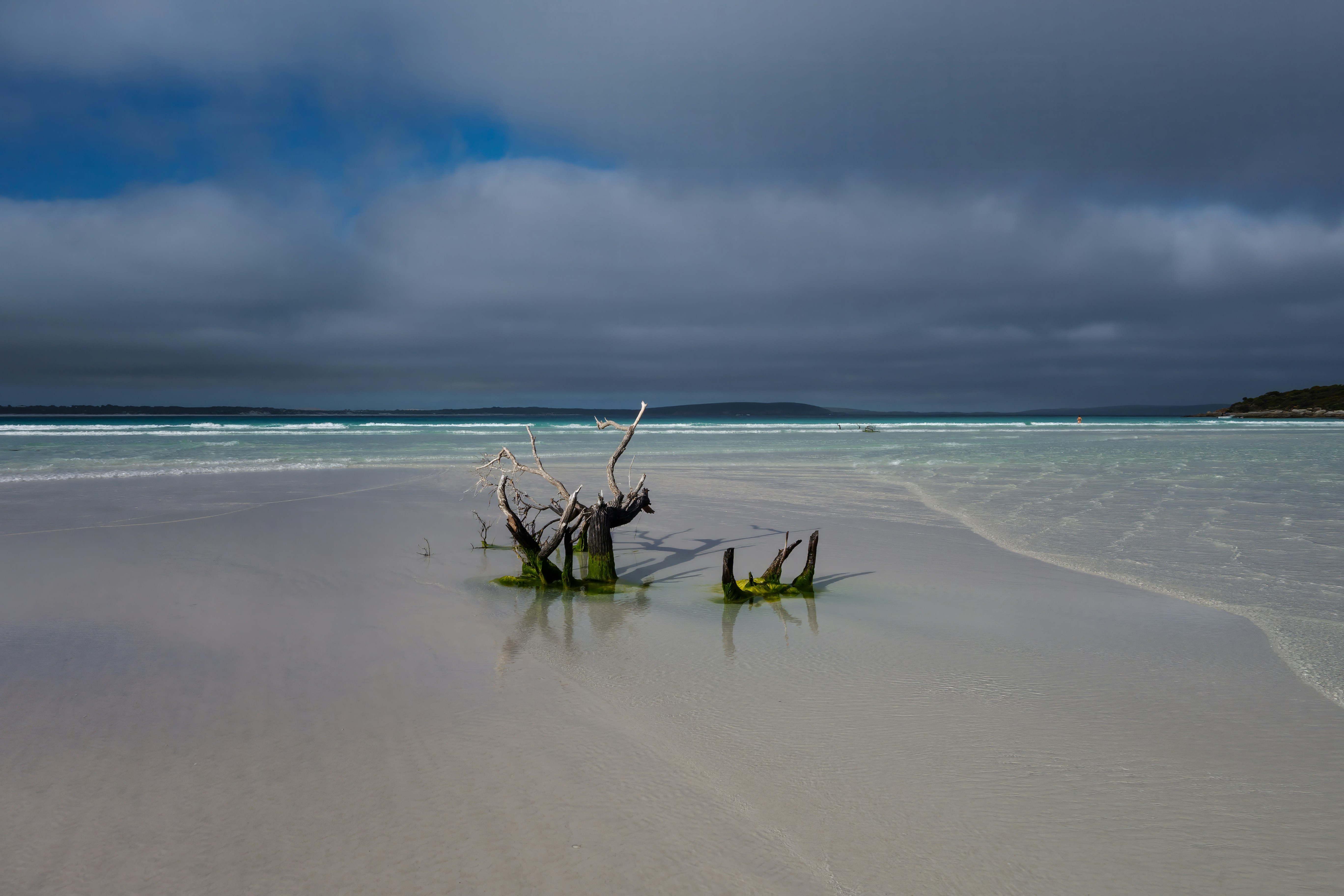 Driftwood on a white sandy beach under a cloudy sky.