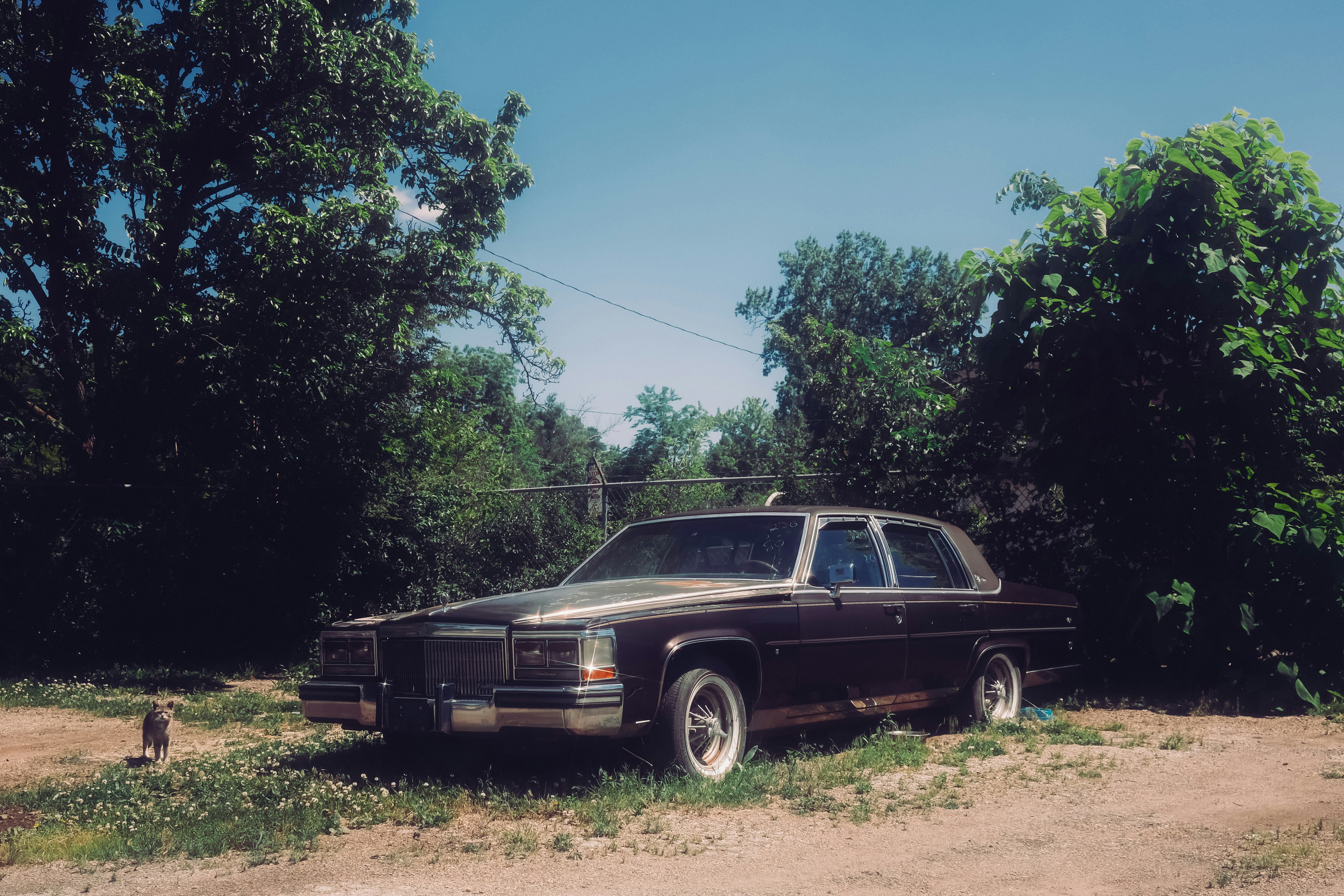 A vintage dark car parked outdoors among trees.