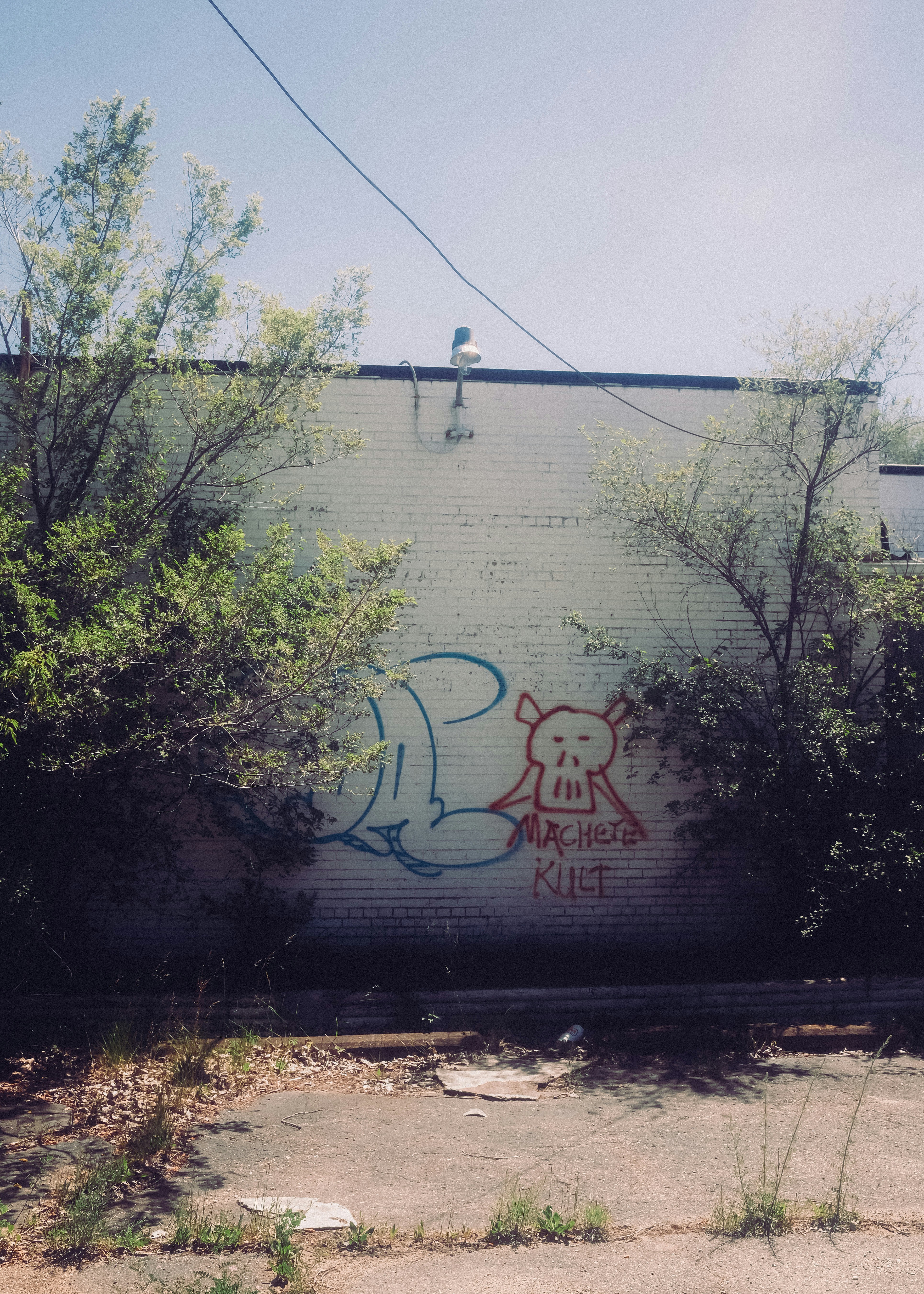 Graffiti Cat and Machete Kill on a Weathered Wall