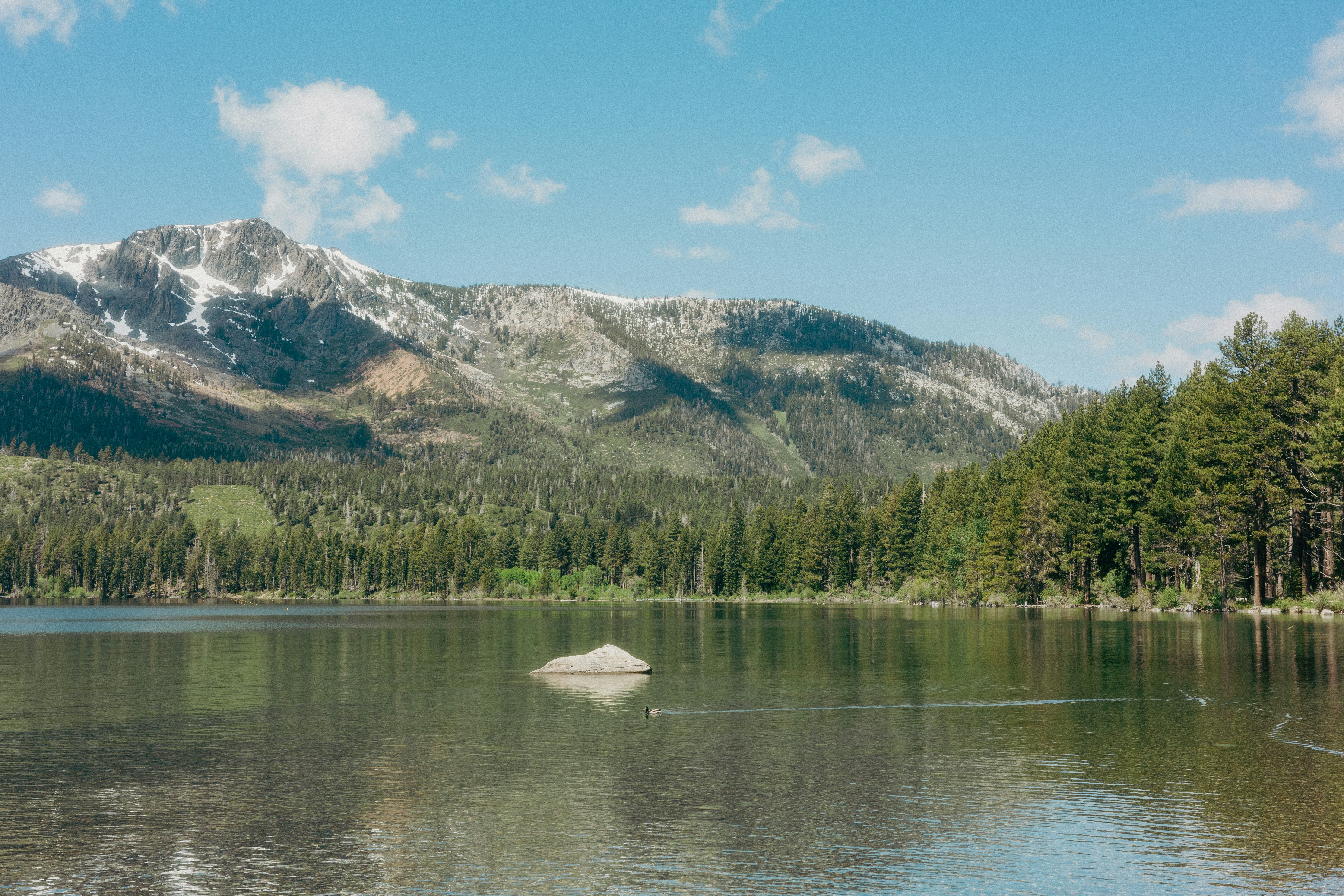 A serene lake with snow-capped mountains and a green forest.
