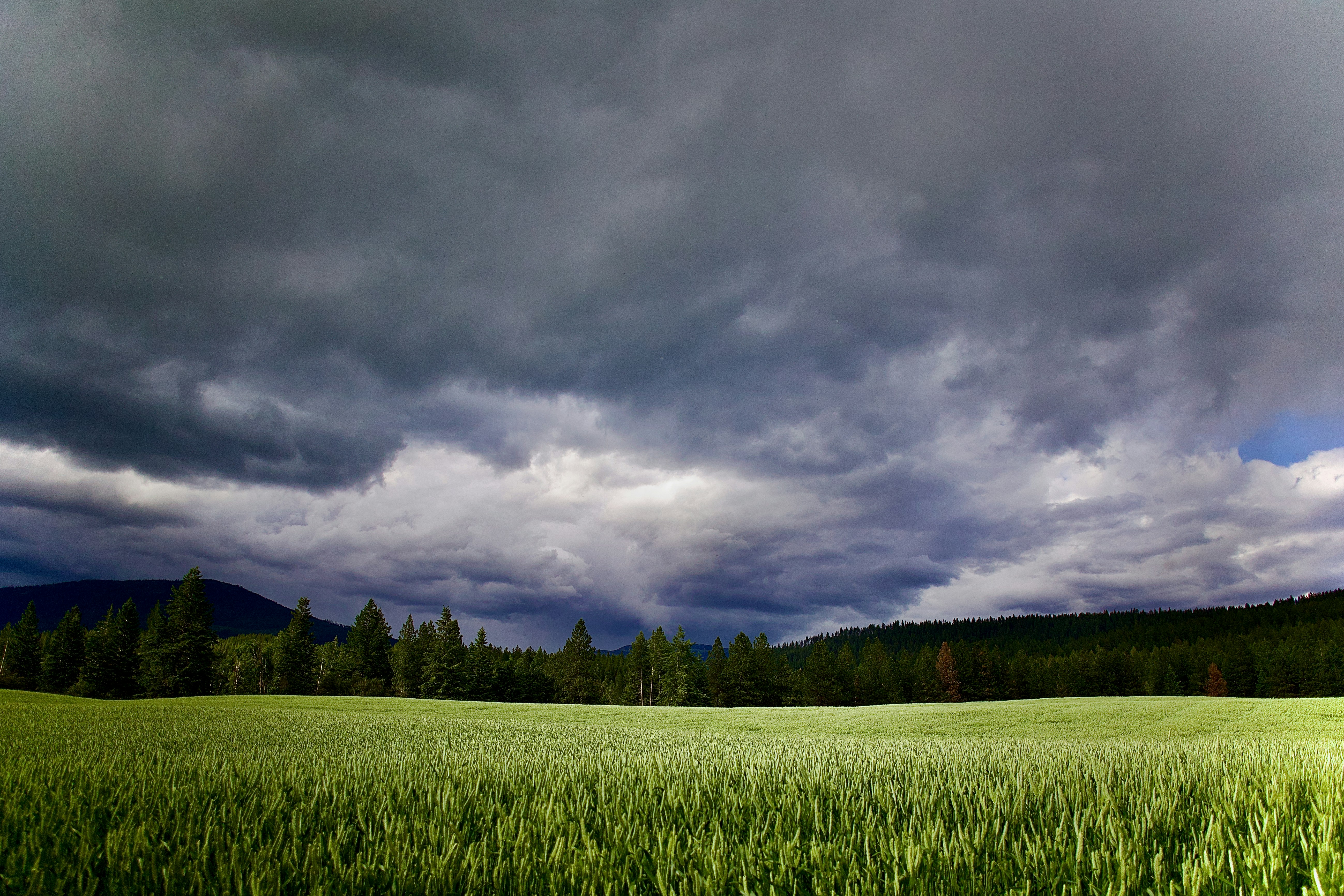 Storms Over the Meadow: A Quiet Field Under heavy Skies