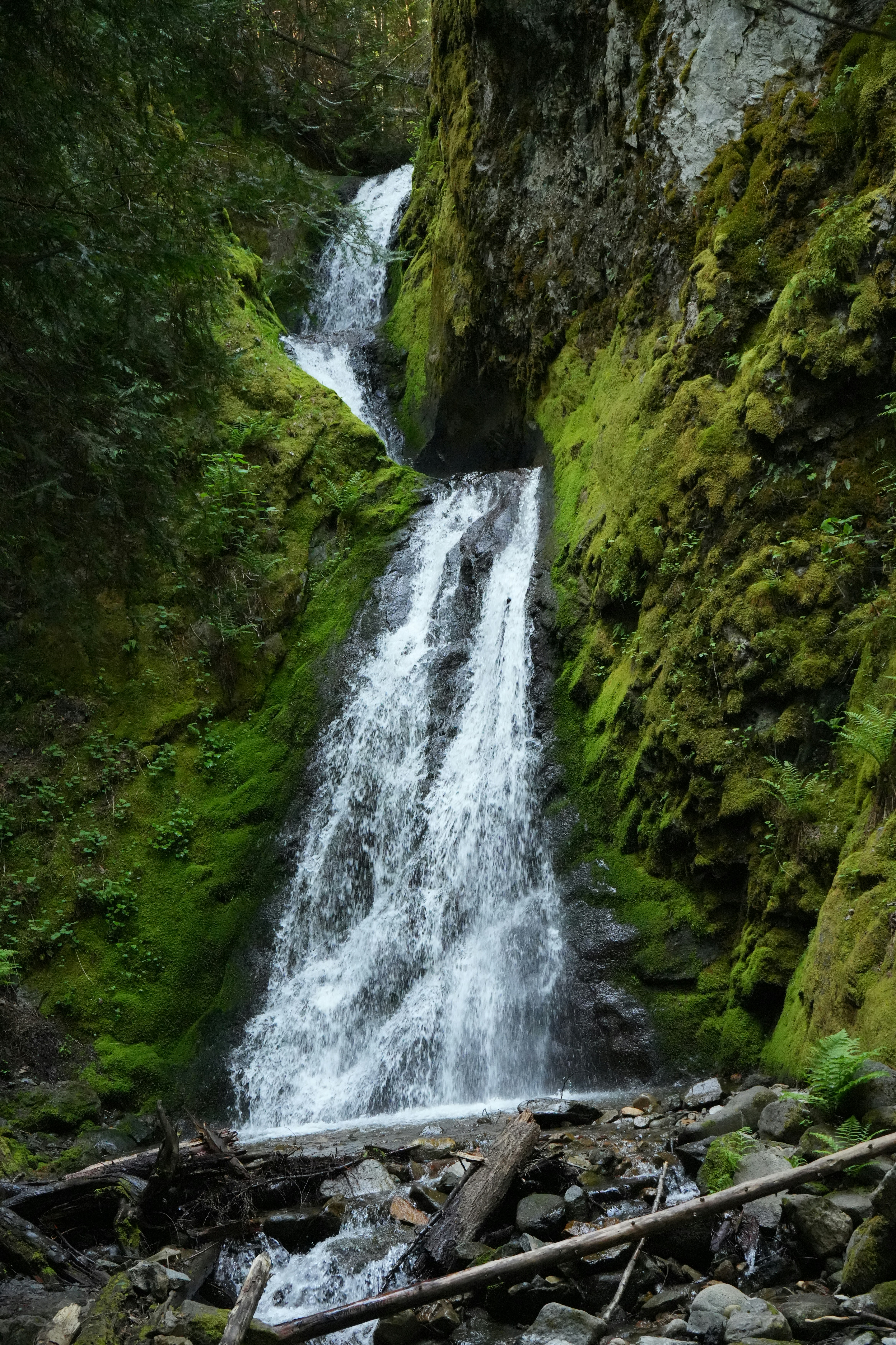 Moss-Cilled Cascade in a Emerald Gorge