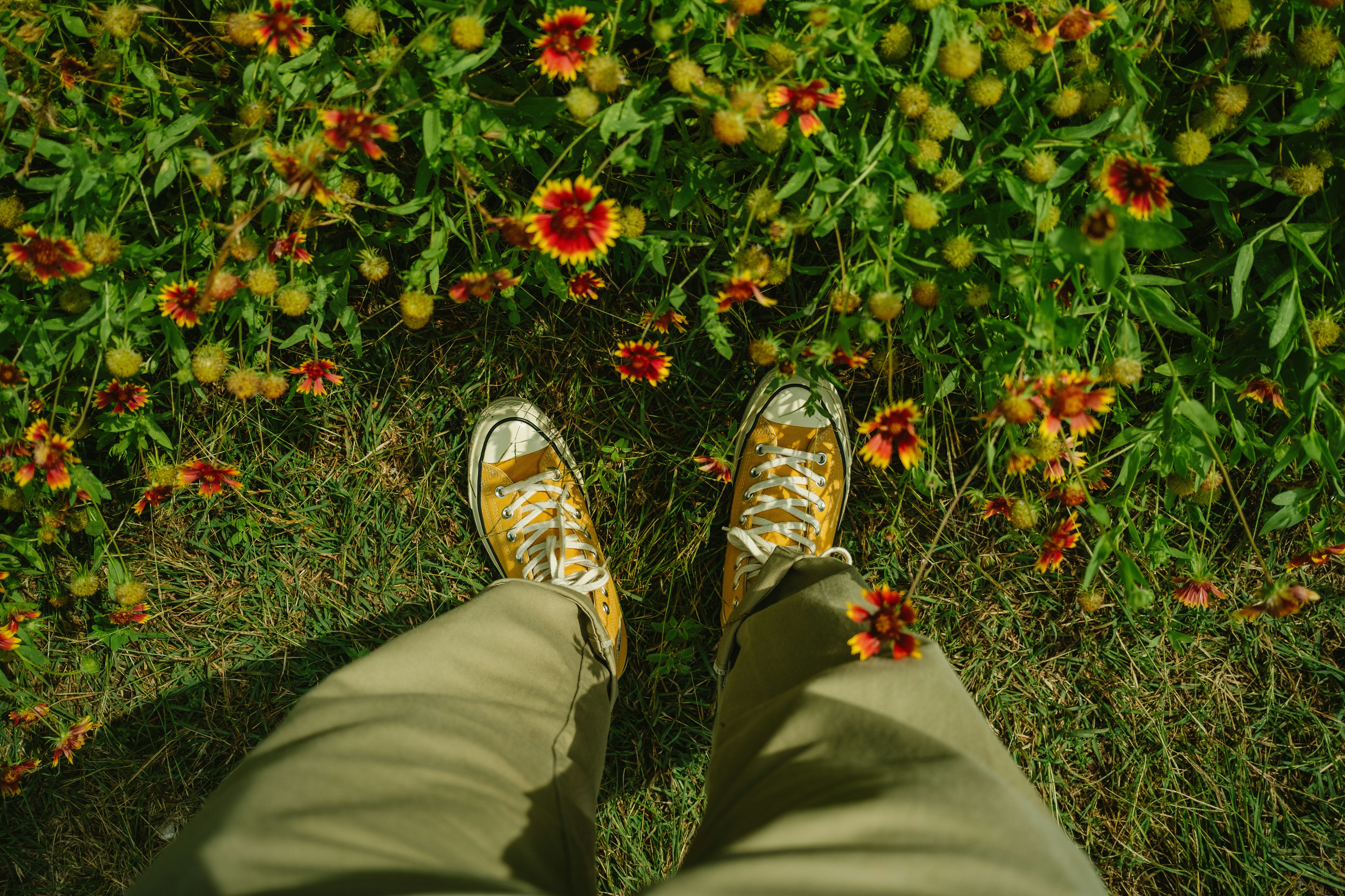 Feet in yellow sneakers standing among red and yellow flowers.