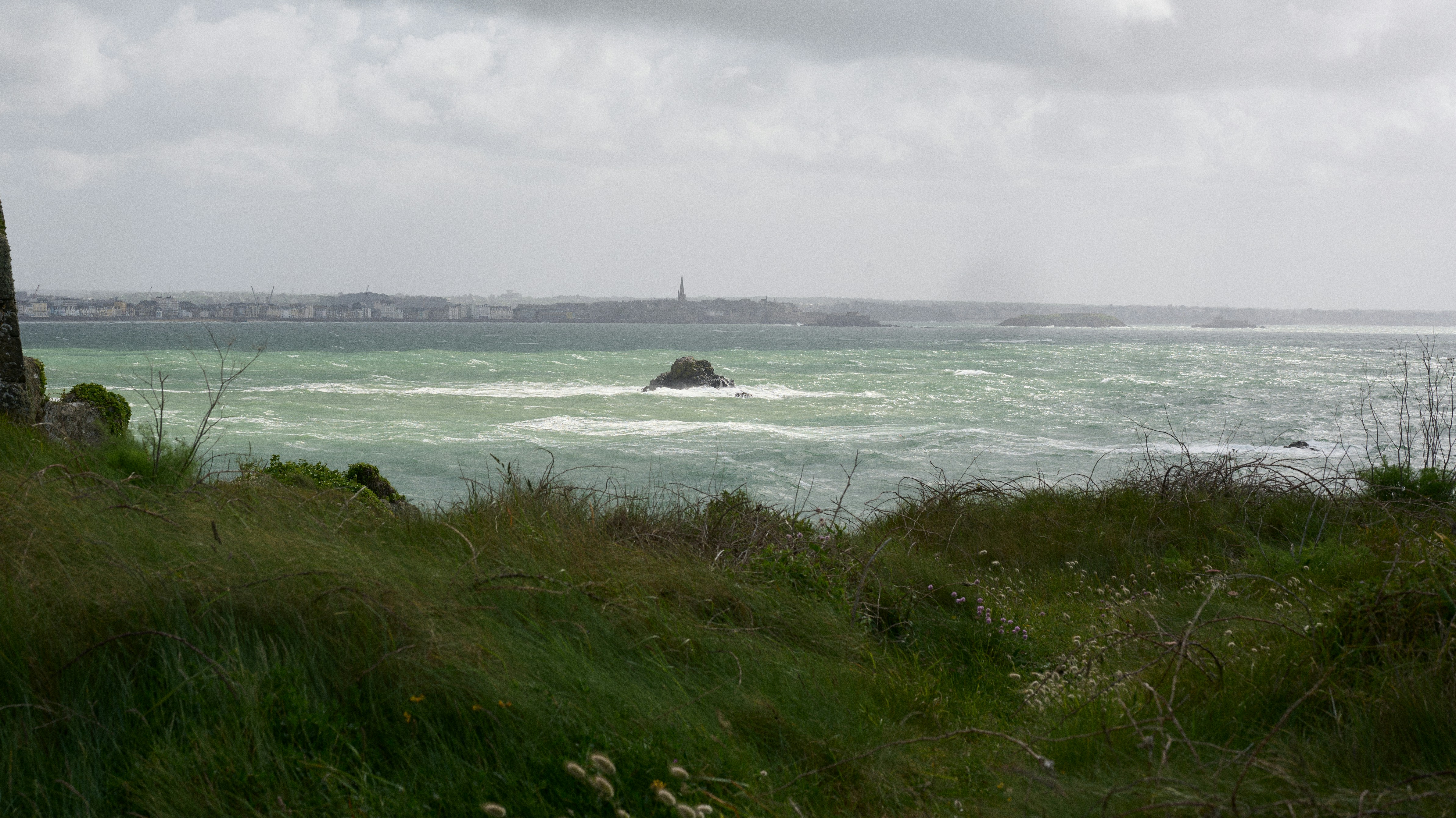 Coastal Cliffside Panorama: Grass, Sea, and Distant Breakwater