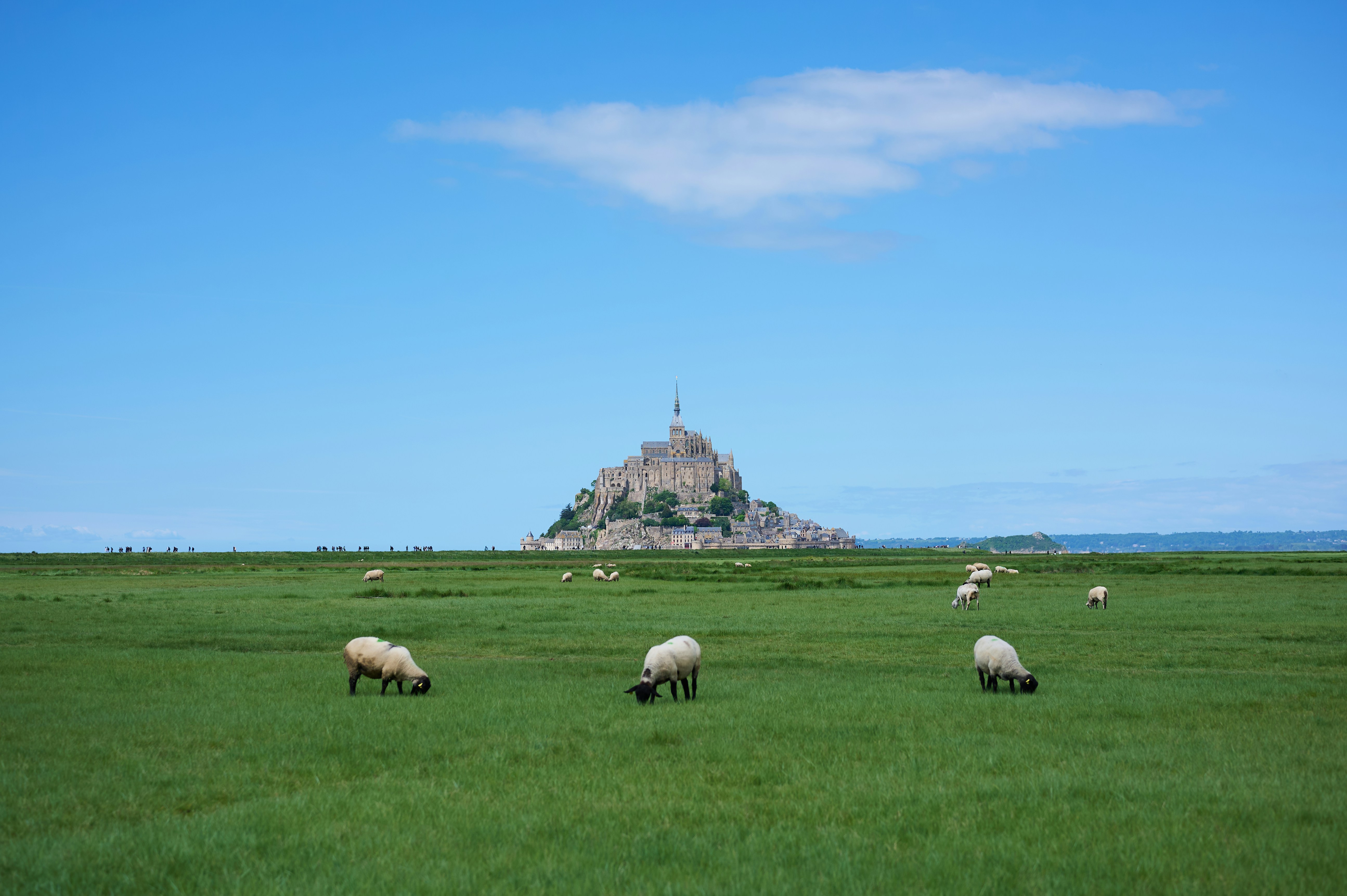 Stone Sanctuary: Mont-Saint-Meg within a Sea of Green
