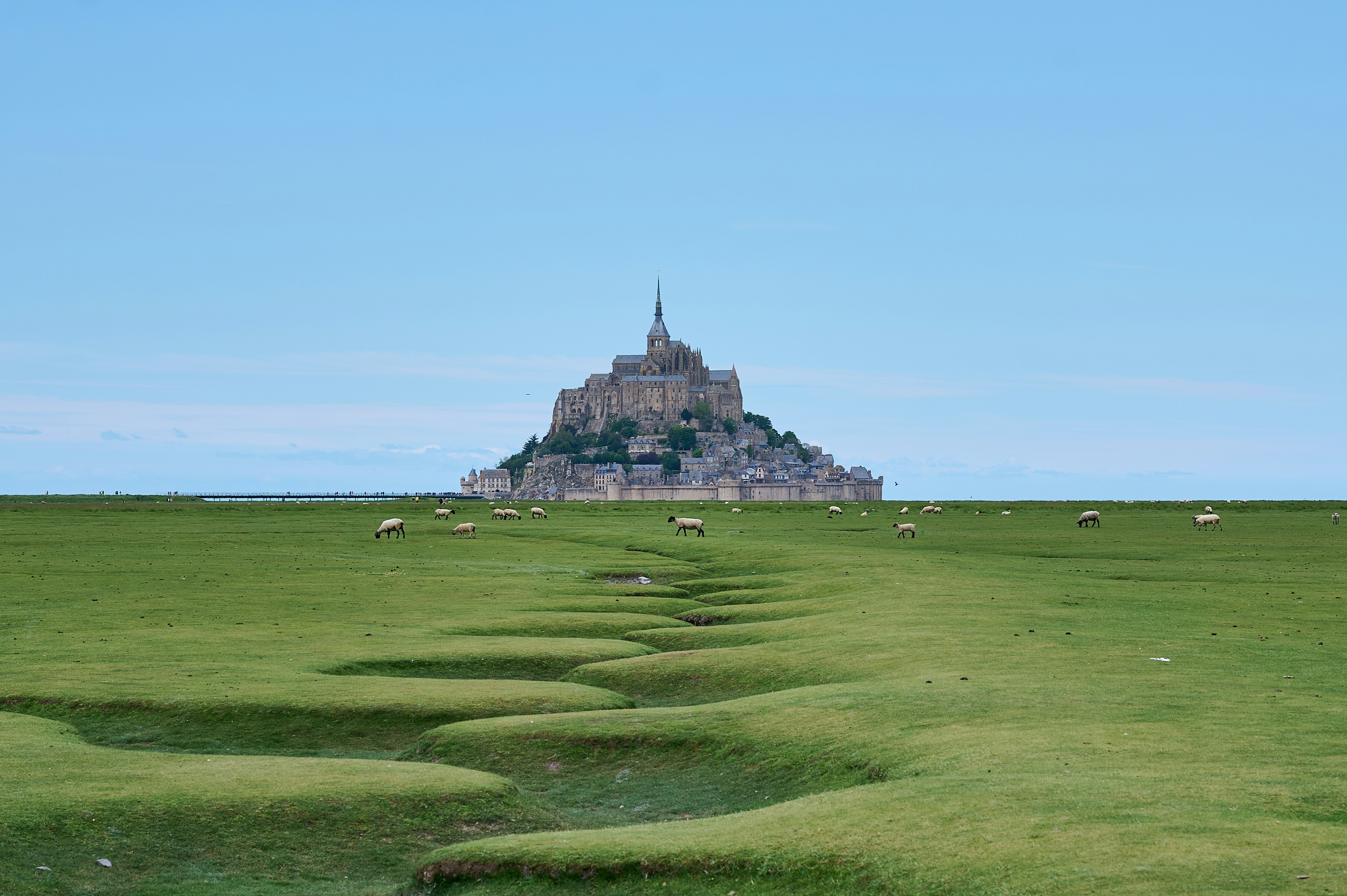 Mont Saint-Michel on the Green Tide: A Horizon of Pastel Sky and Grass