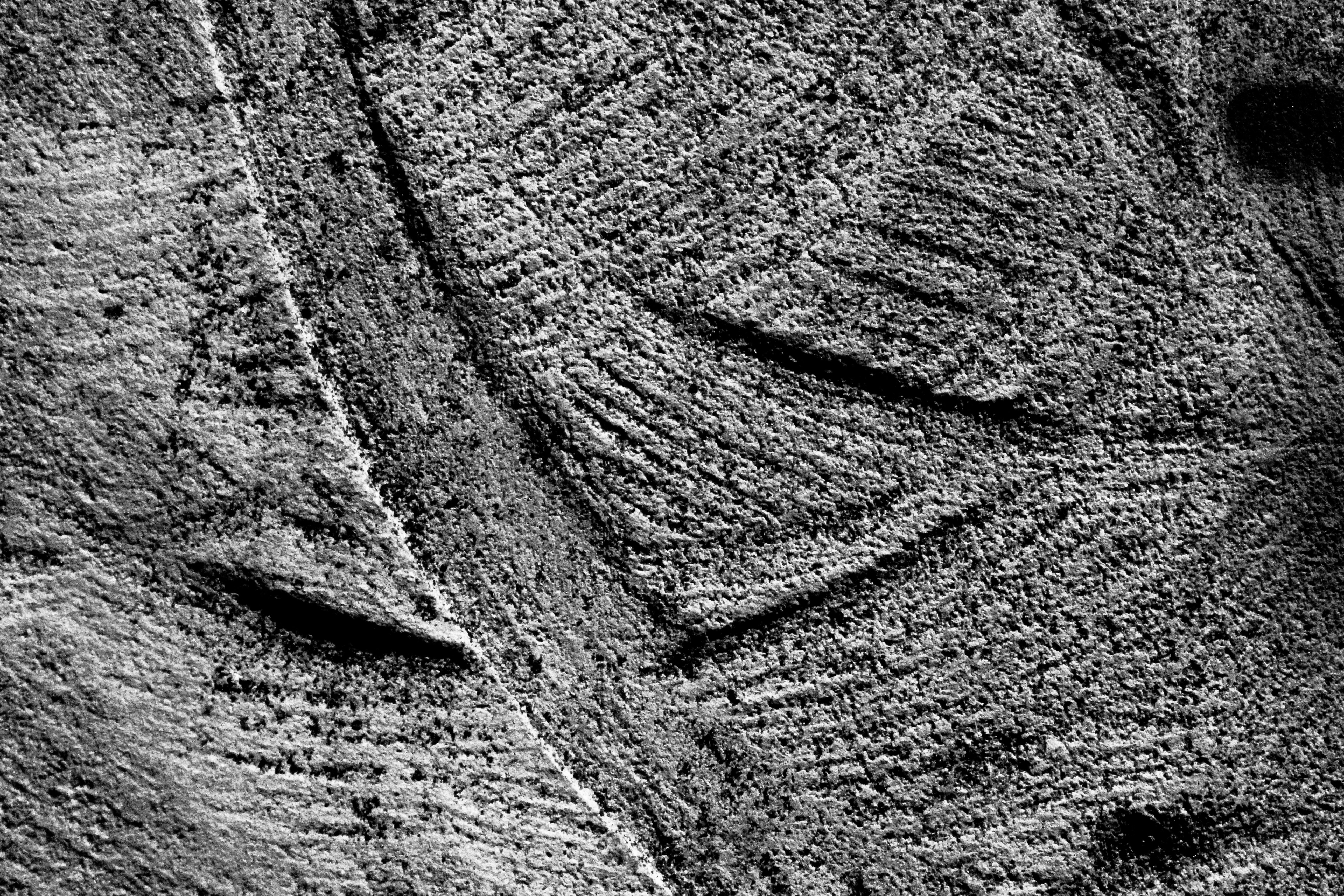 Aged Timber Whorls: Close-Quarters Grain