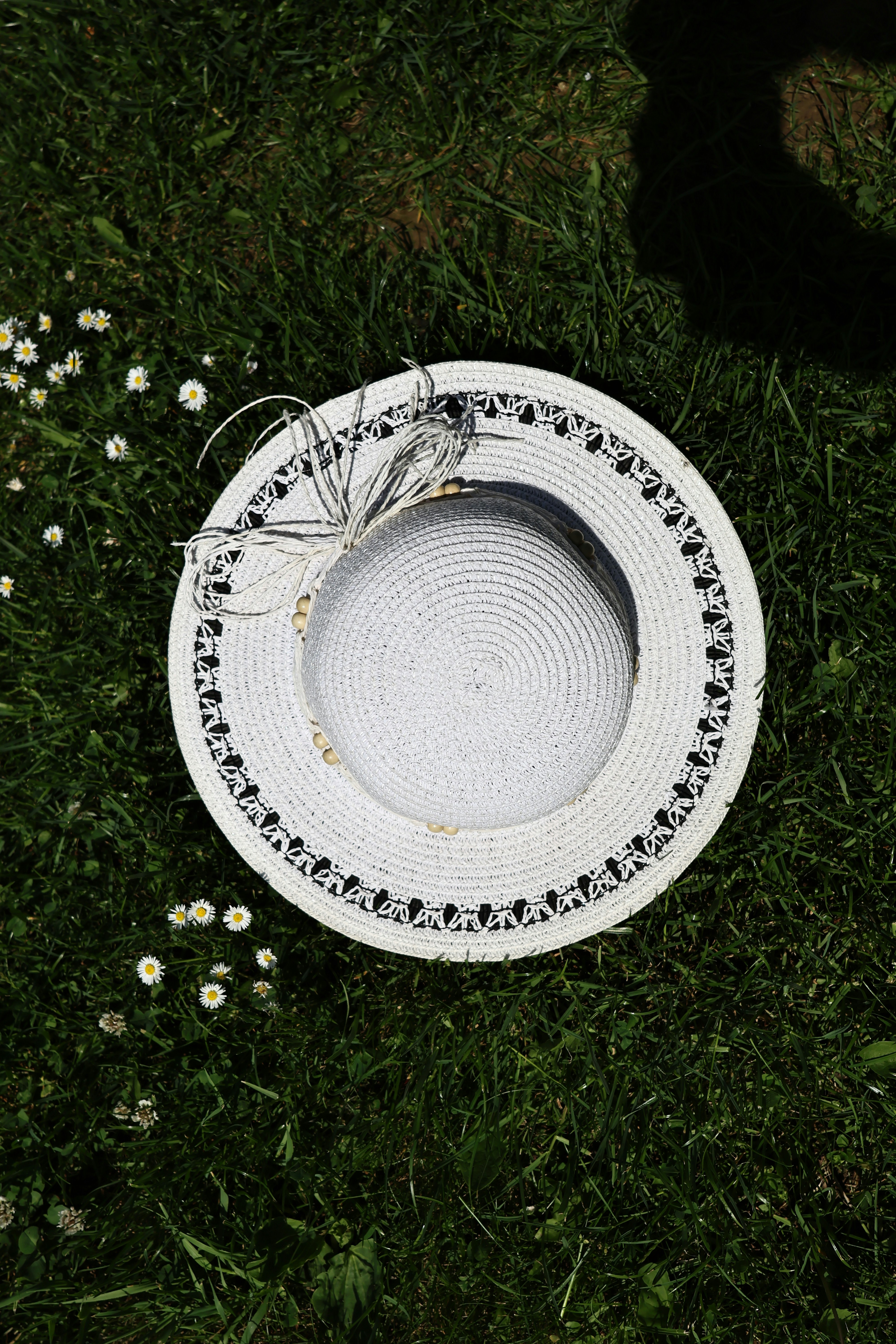 White straw hat resting on a sunlit lawn with chamomile speckles