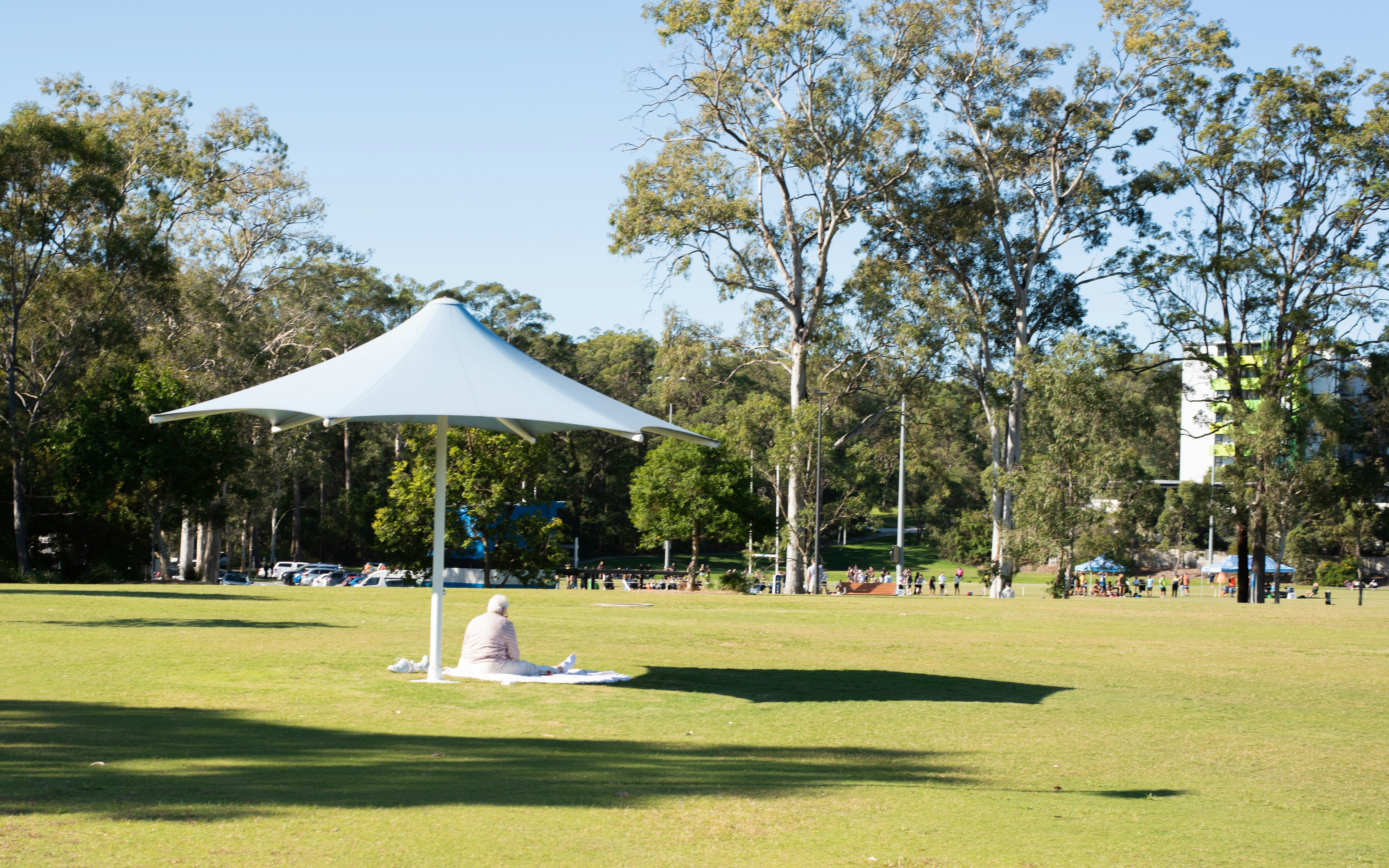 Solitary Picnic under a Shelter in a Sunlit Park