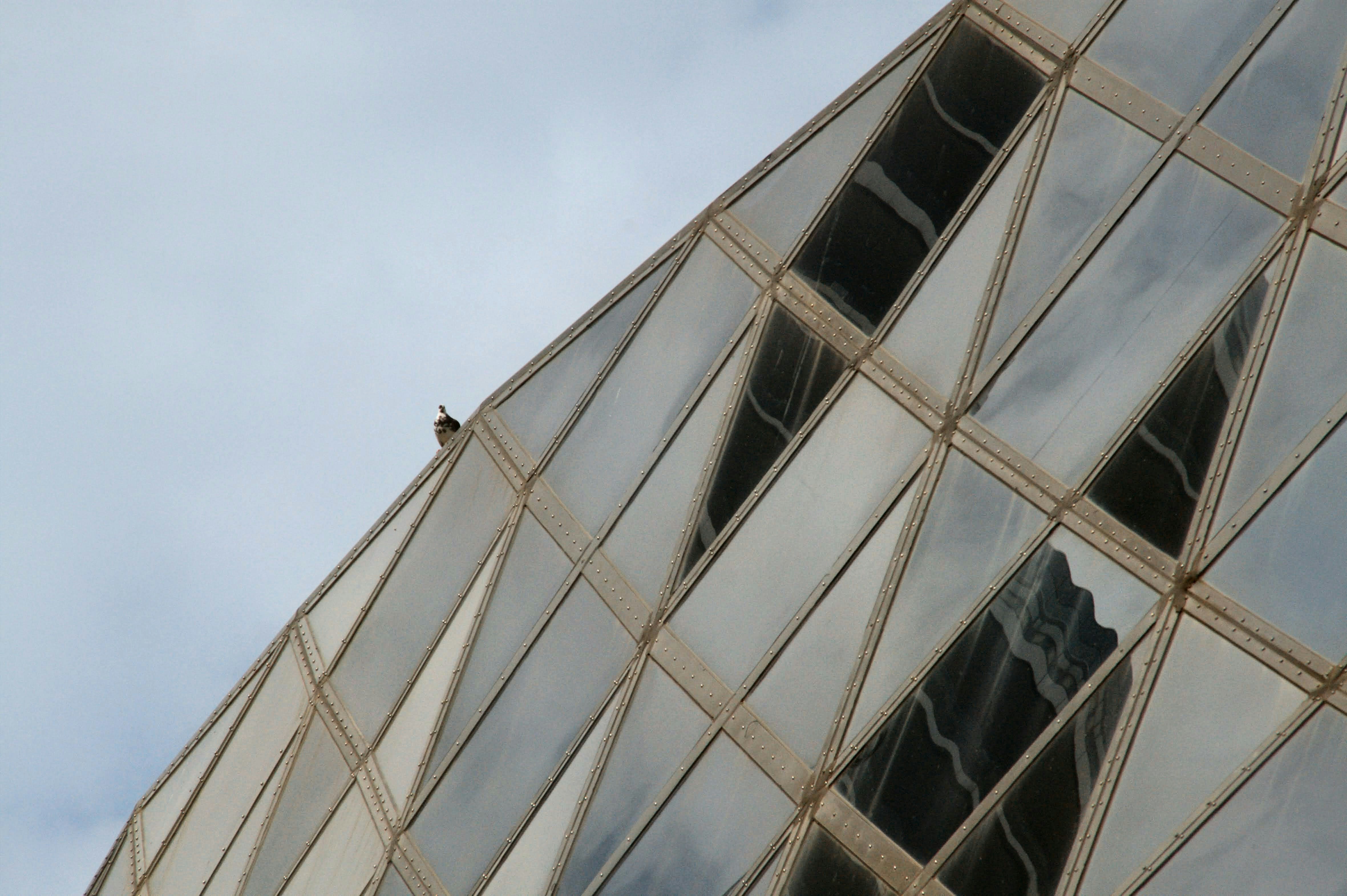 Facet of Glass: A Distant Peak of Windows on a Tilted Facade