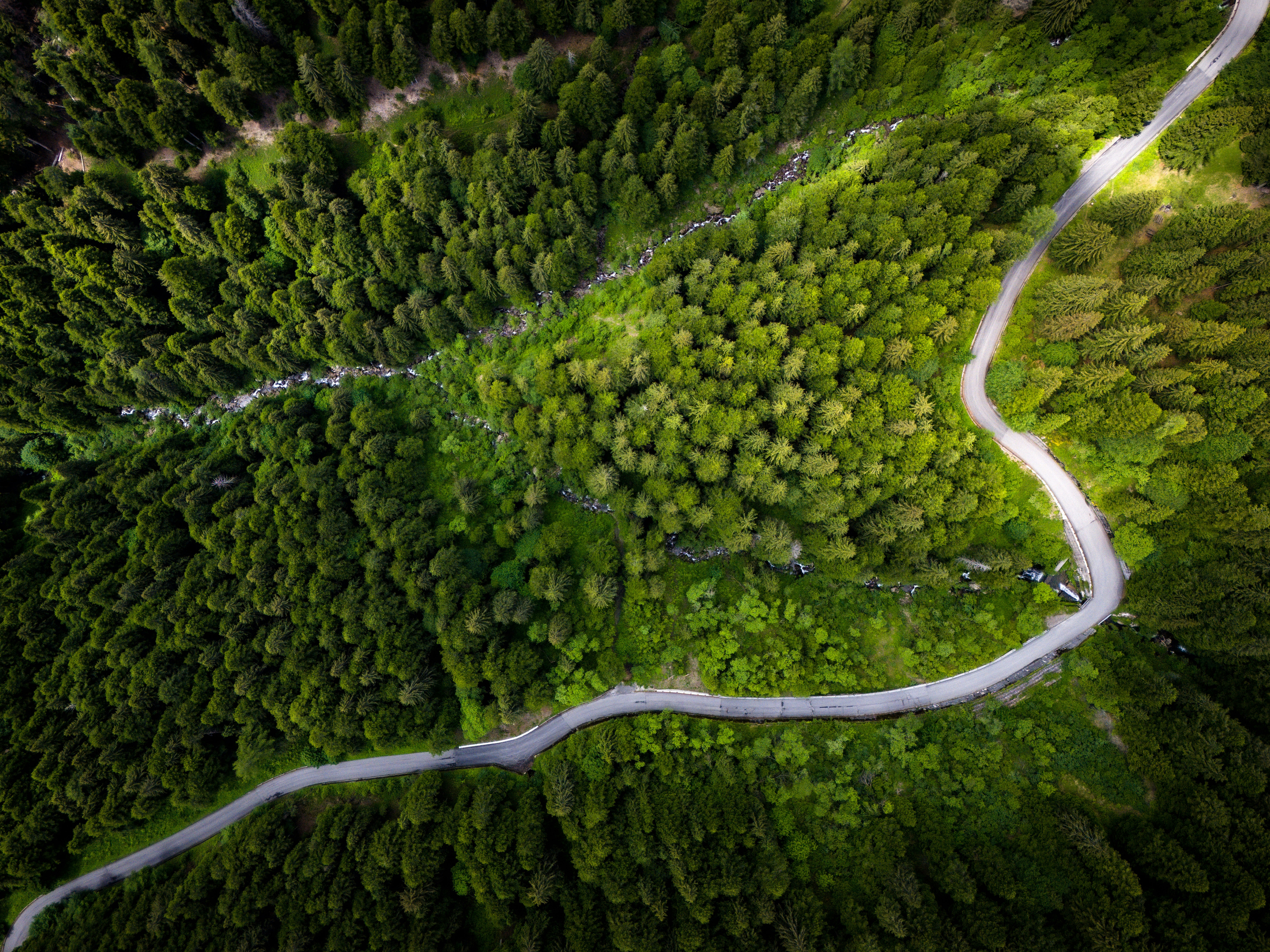 A drone view of a winding road and a small torrent in a forest