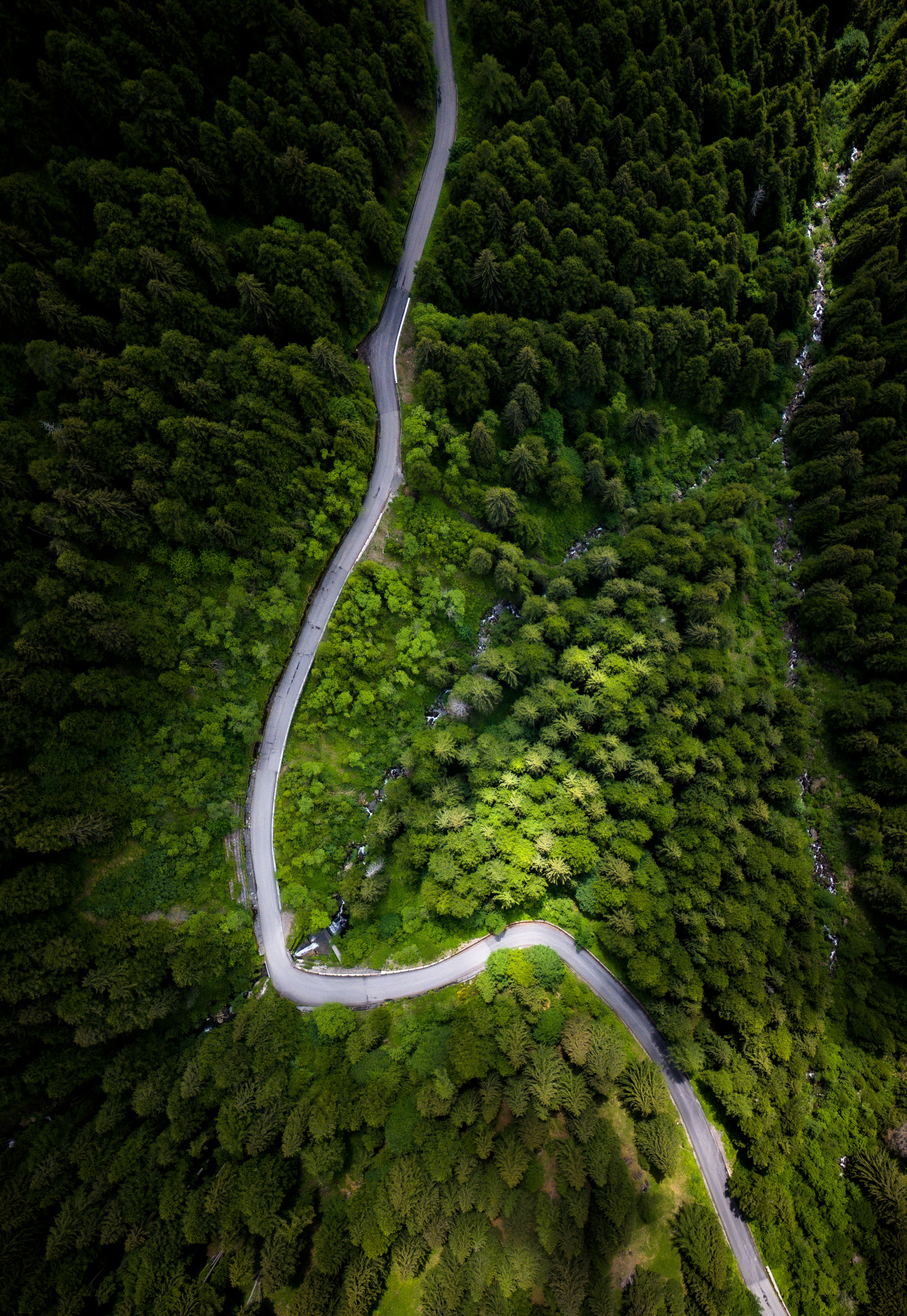 A drone view of a winding road and a couple of small water flows merging in a forest