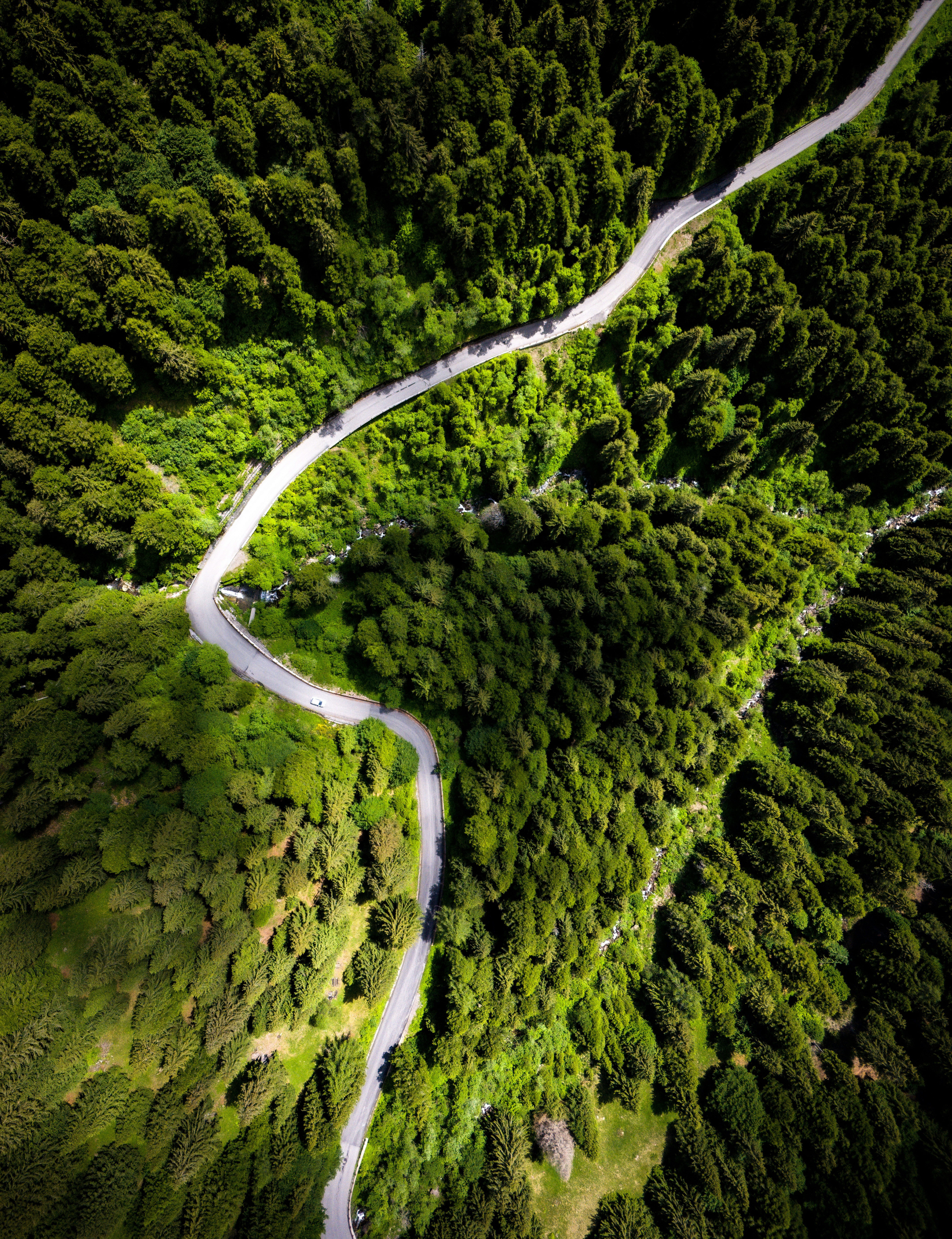 A drone view of a winding road in a forest