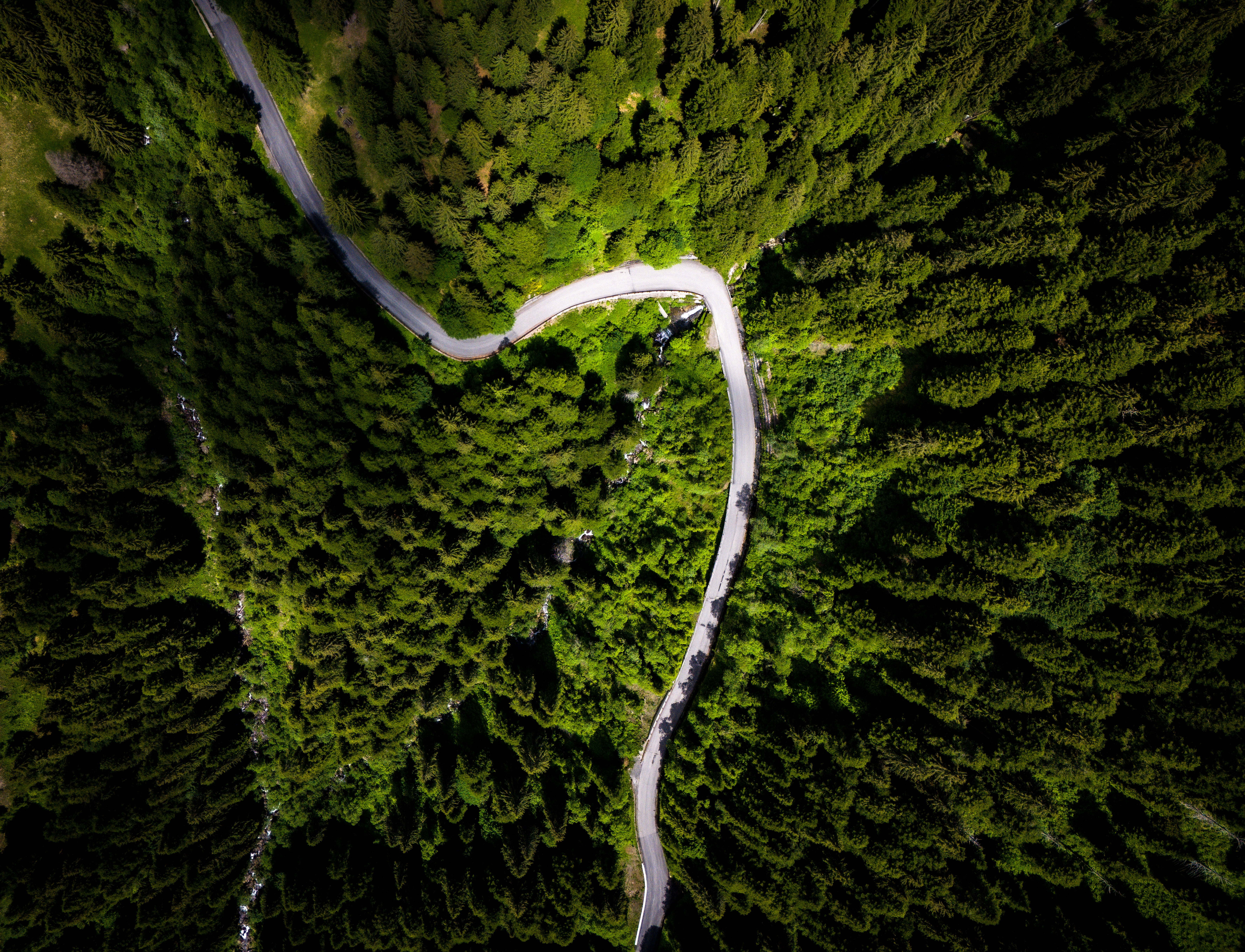 Serpentine Forest Highway: An Aerial Curtain of Green
