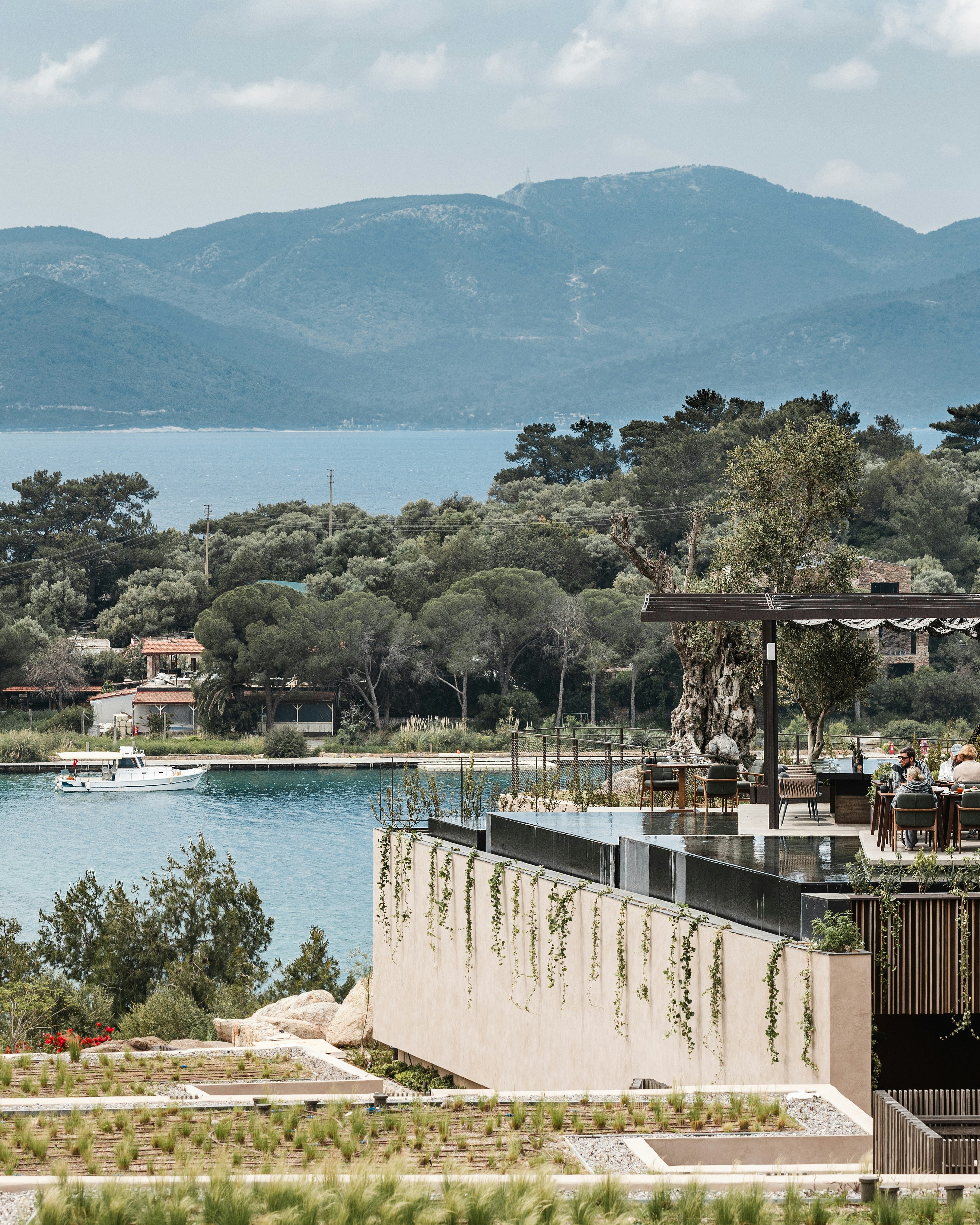 Terrace Overlooking the Pine-Cilled Shore