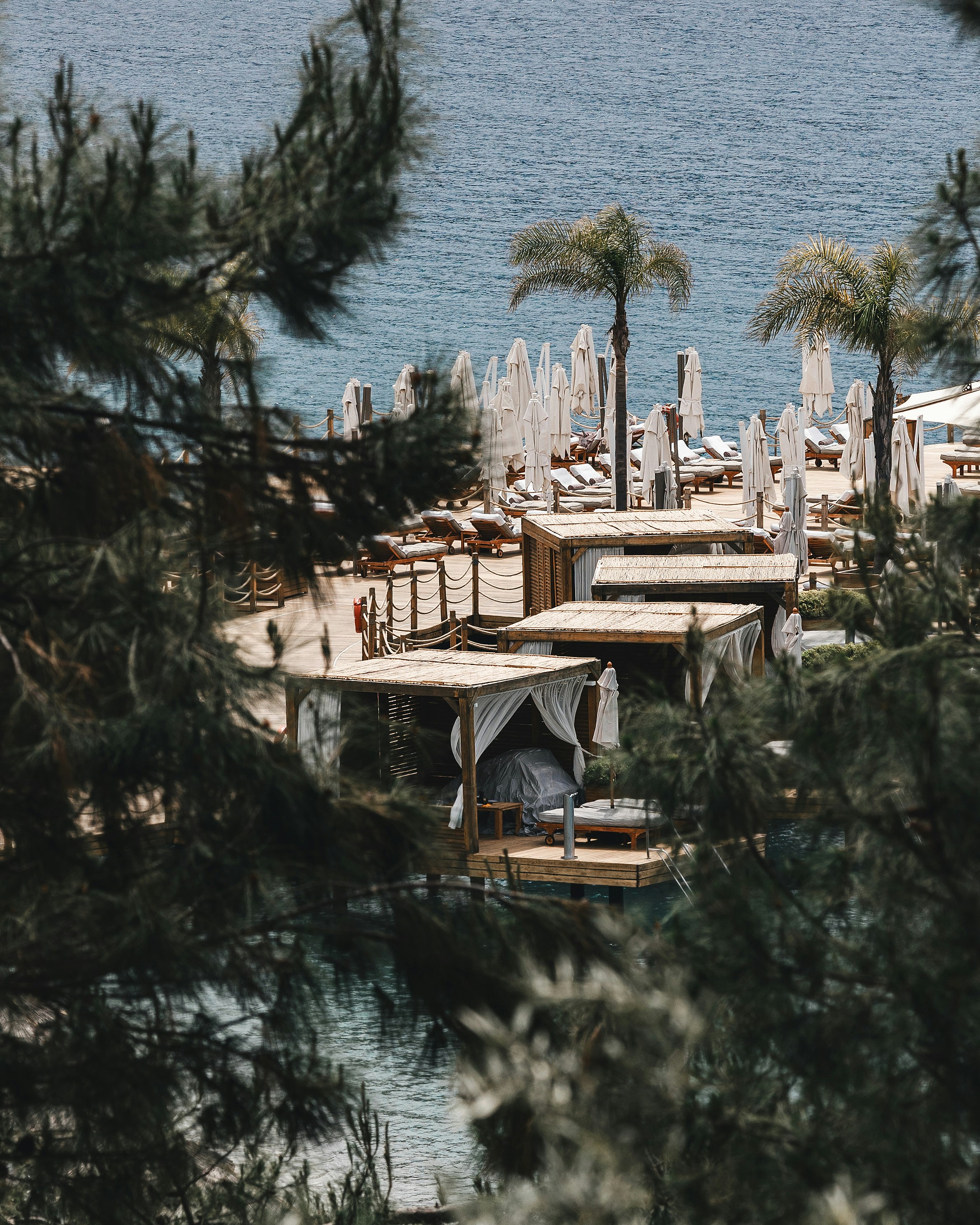 Seaside Cabana Row Framed by Cedar Pines