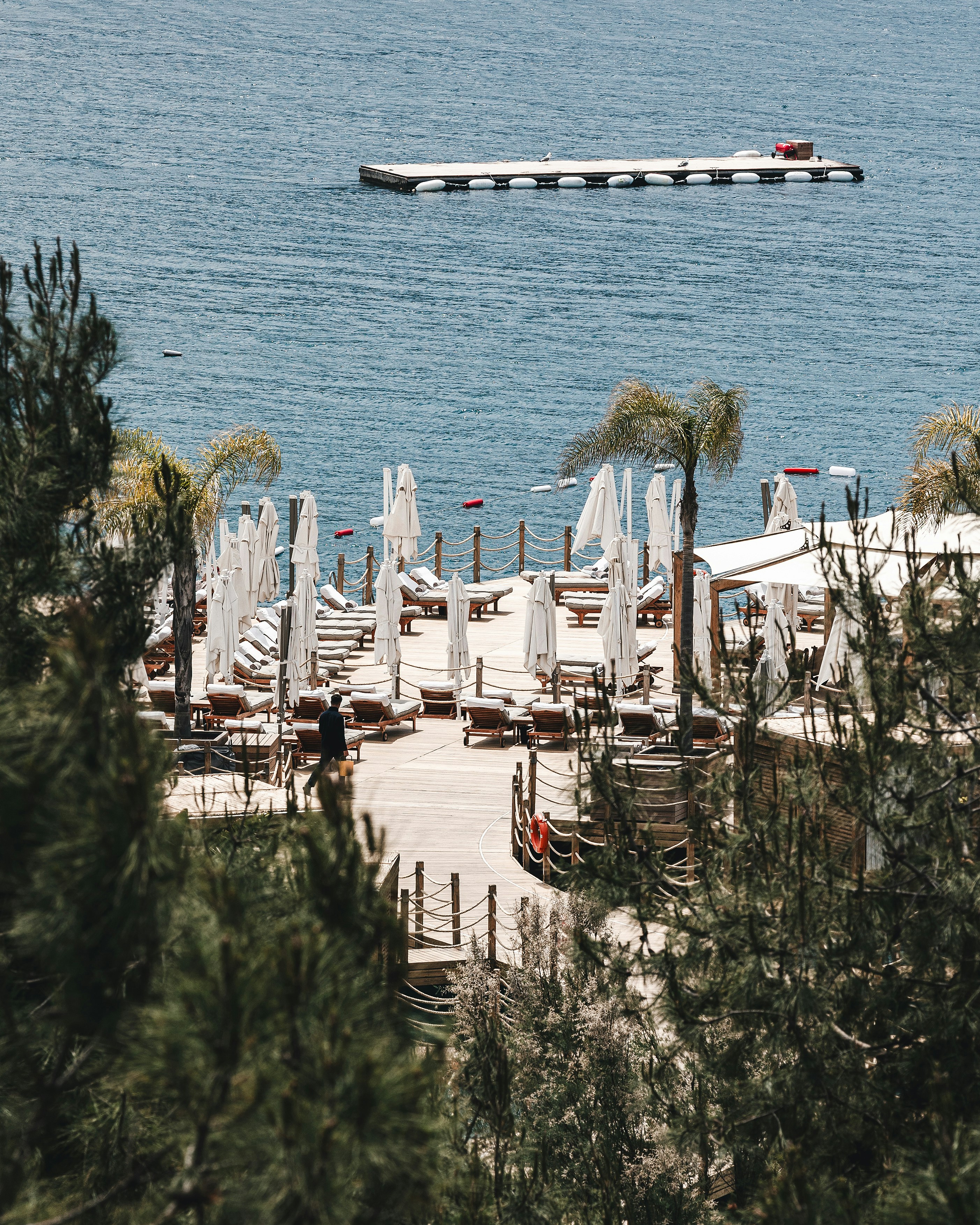 Sunlit Beach Club from the Framing Pines