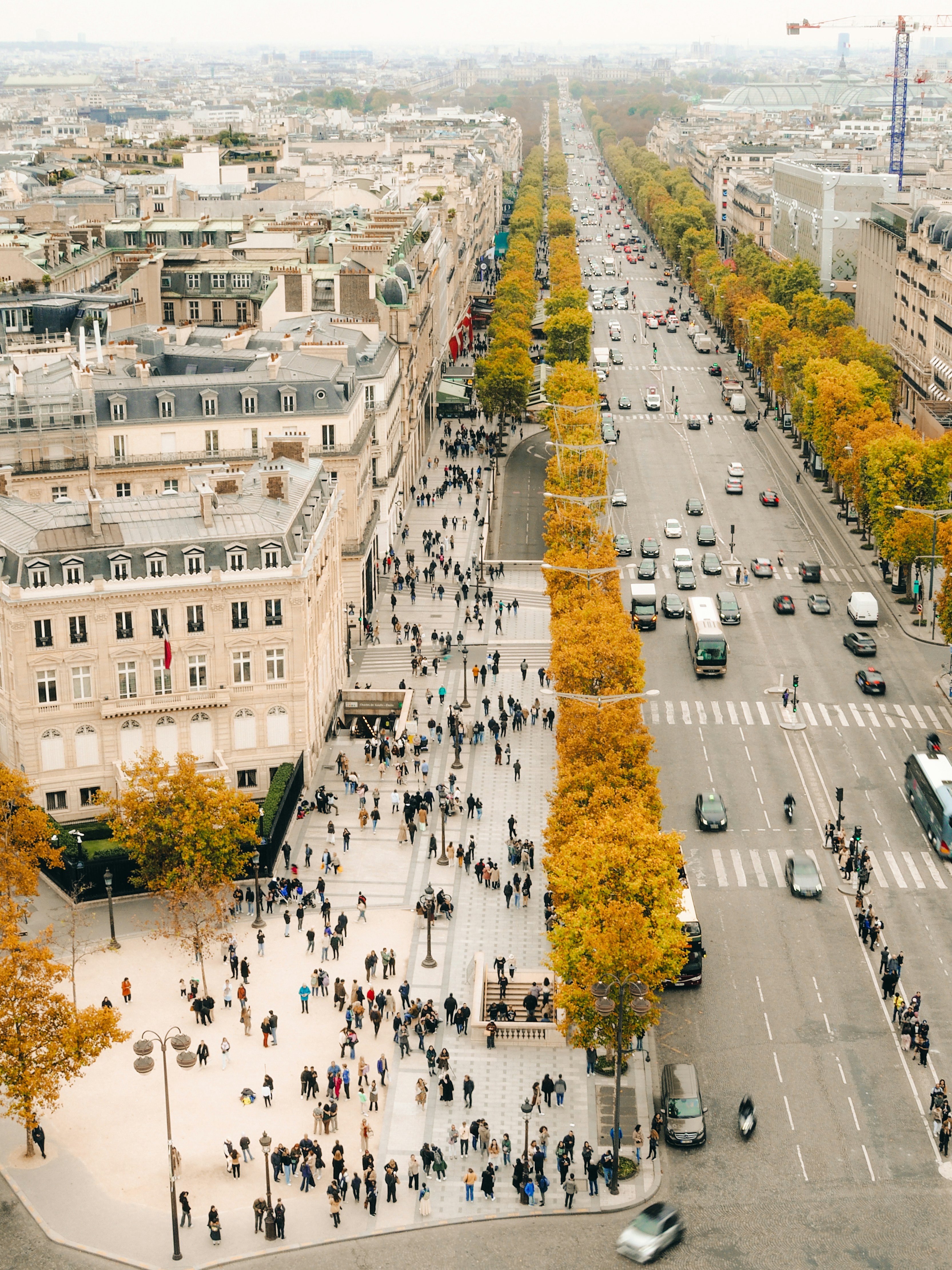 Bathed in golden sunshine, the streets of Paris come alive with movement, energy, and unmistakable charm. Sunlight dances across cobblestones and historic buildings while locals and visitors create a vibrant street scene full of authenticity and character. The warm glow enhances every detail, from elegant balconies and tree-lined avenues to bicycles, cafés, and fashion-forward pedestrians. This is street photography at its finest—capturing real moments, urban culture, and the beauty of everyday life. The image radiates romance, travel inspiration, European elegance, and the timeless atmosphere