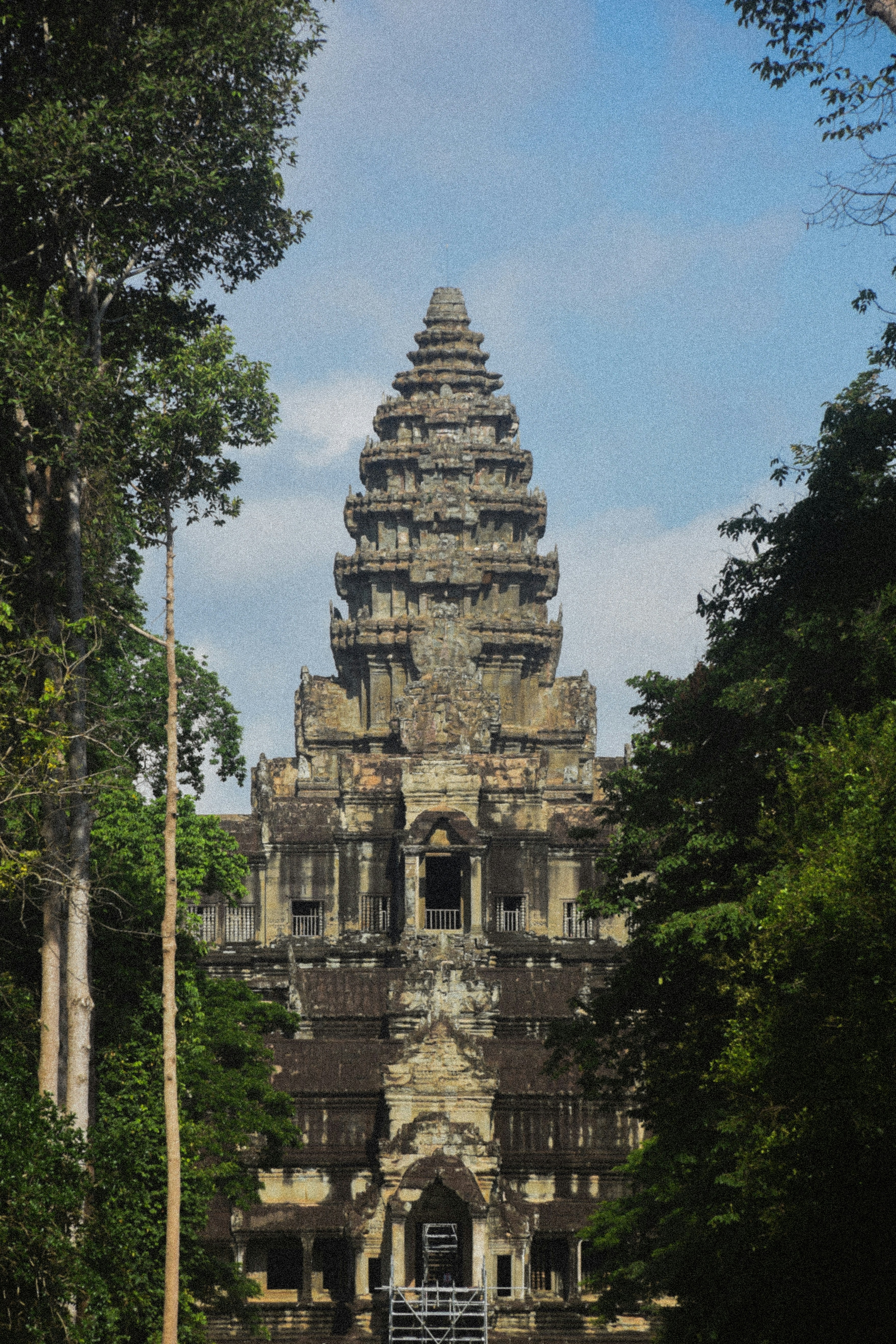 Temple Tower Surrounded by Jungle Reflections