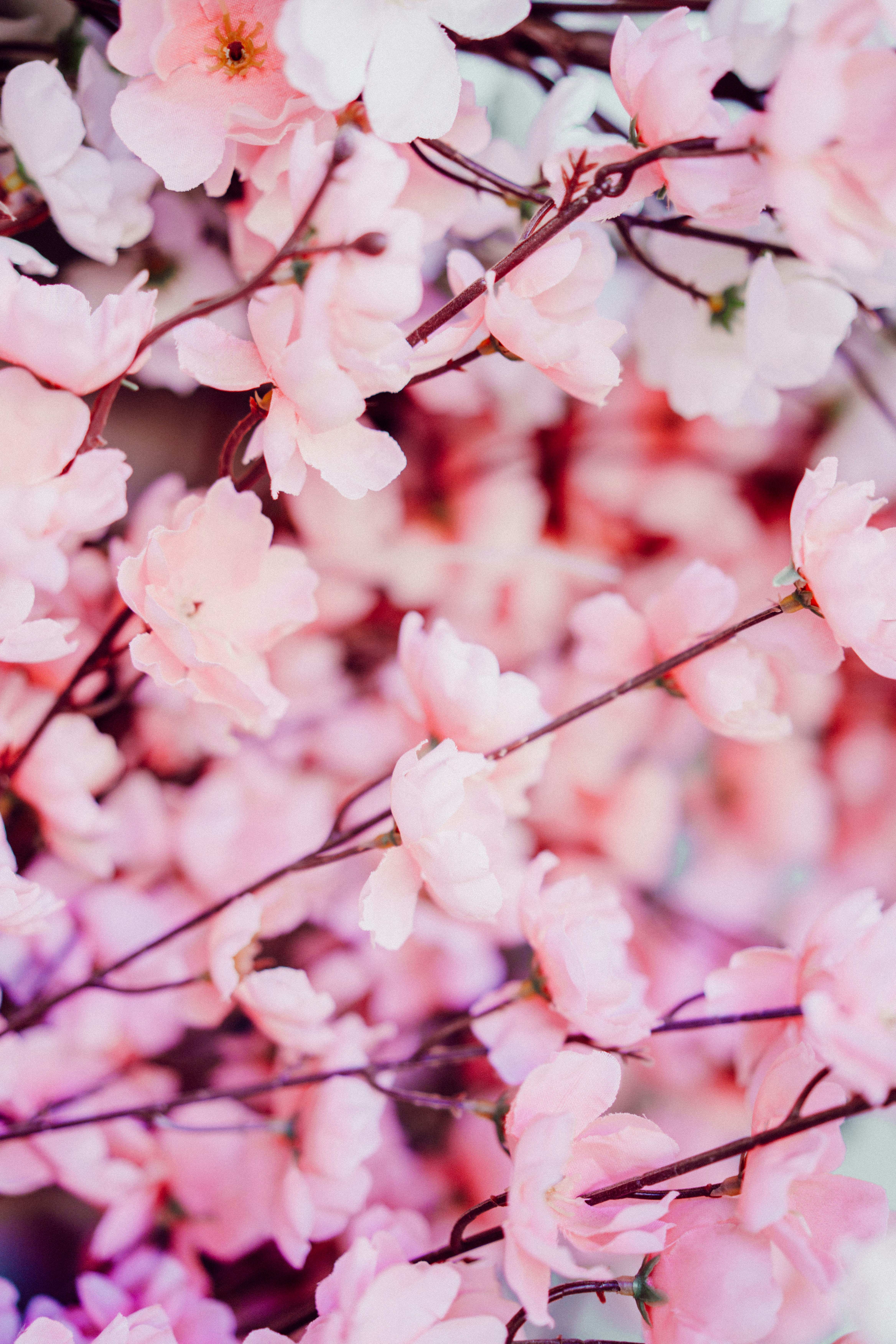 Blossom Veil: Soft Pink Floral Cascade
