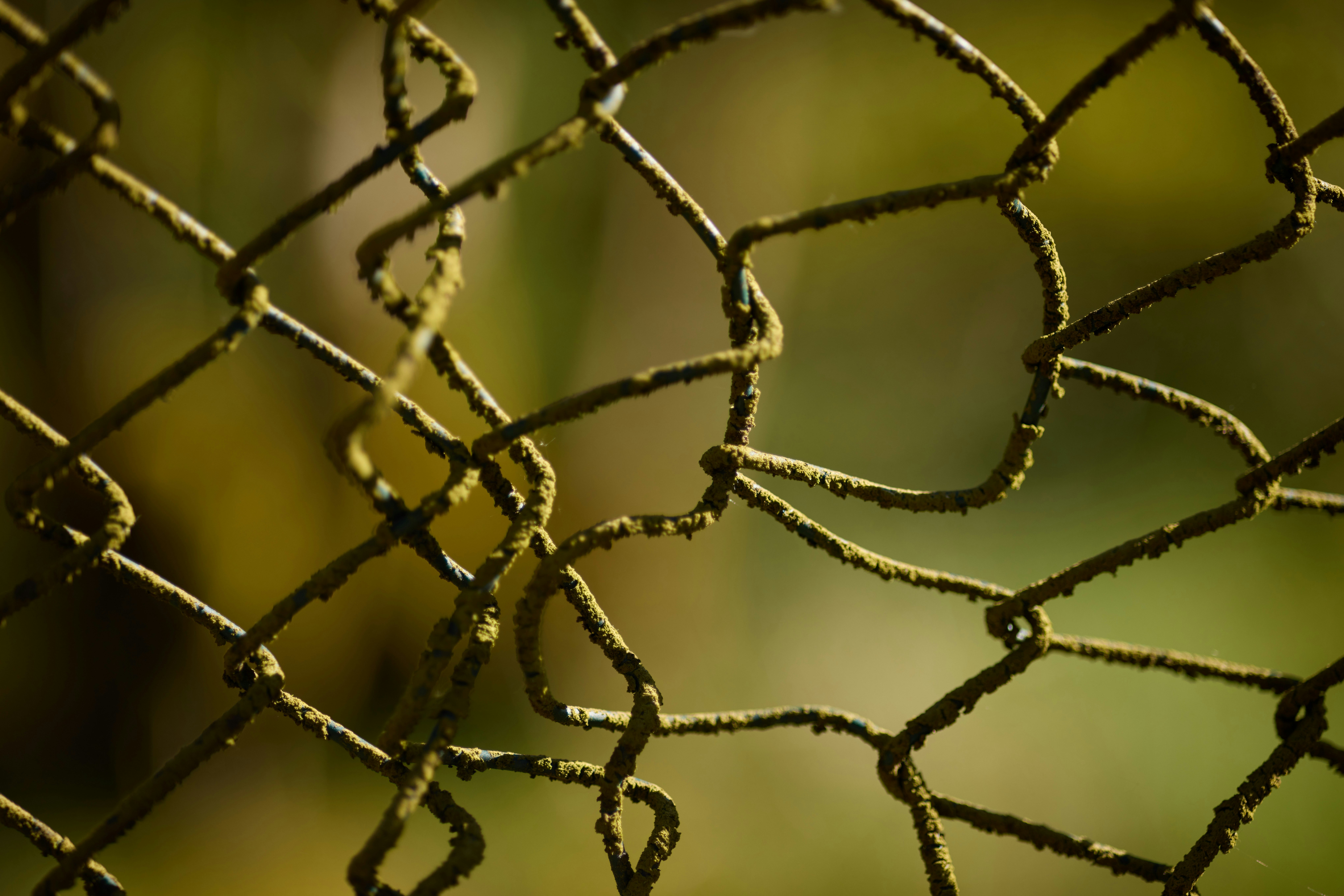 Caged Lines: Sunlit Rust on a Weathered Chain