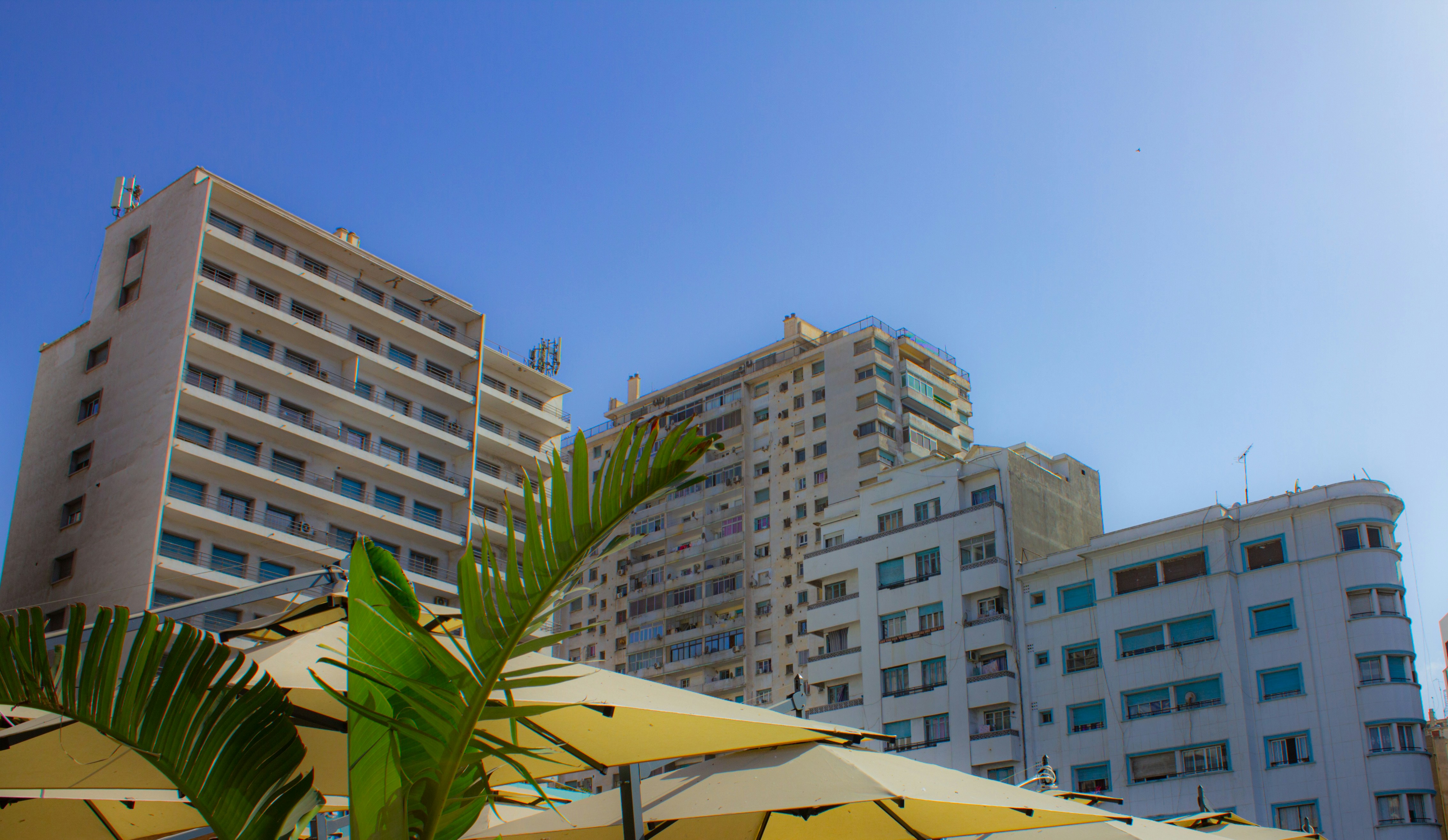 City Roofscape: Sunlit Umbrellas Beneath Tall Balconies