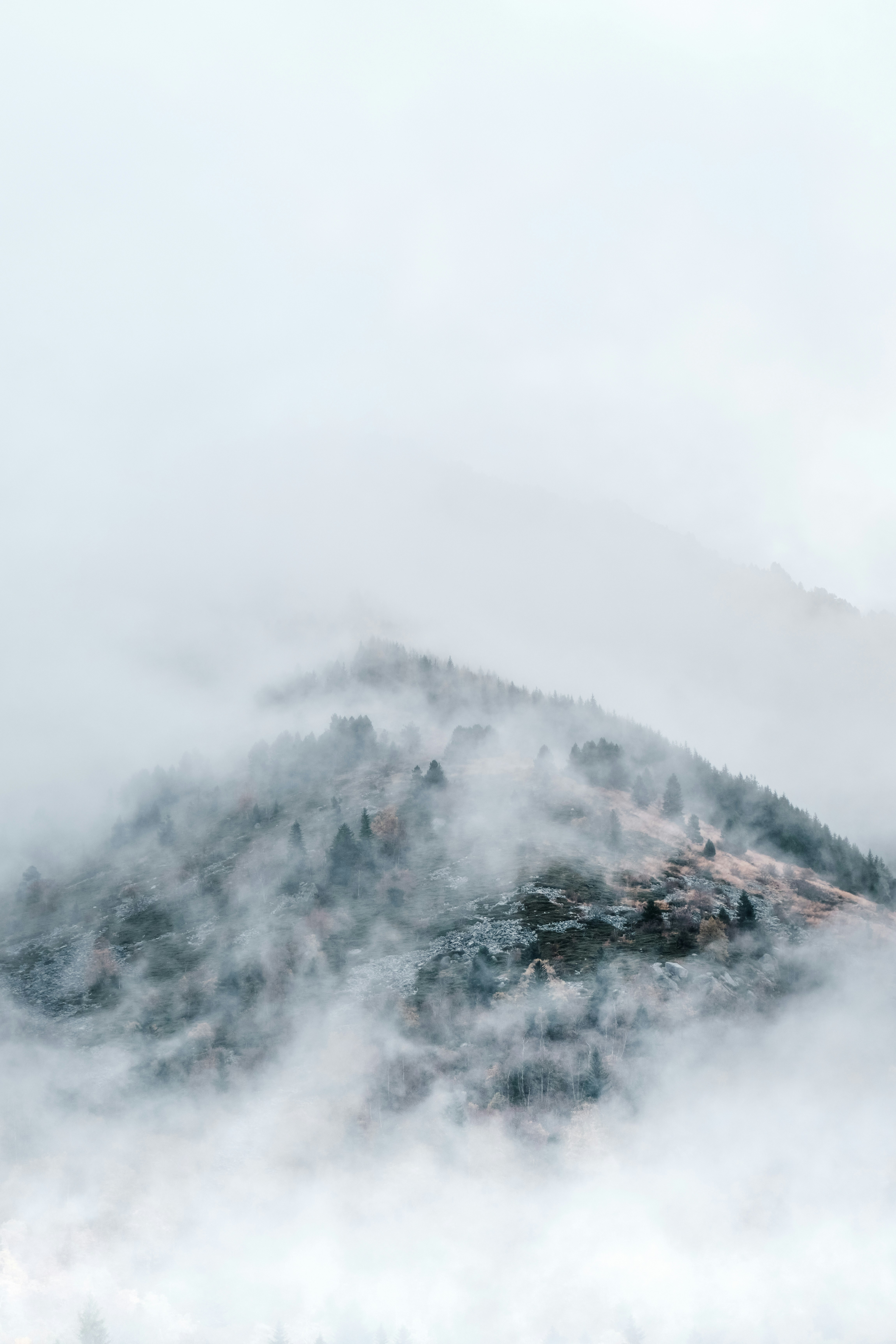 A misty mountain peak with trees shrouded in fog.