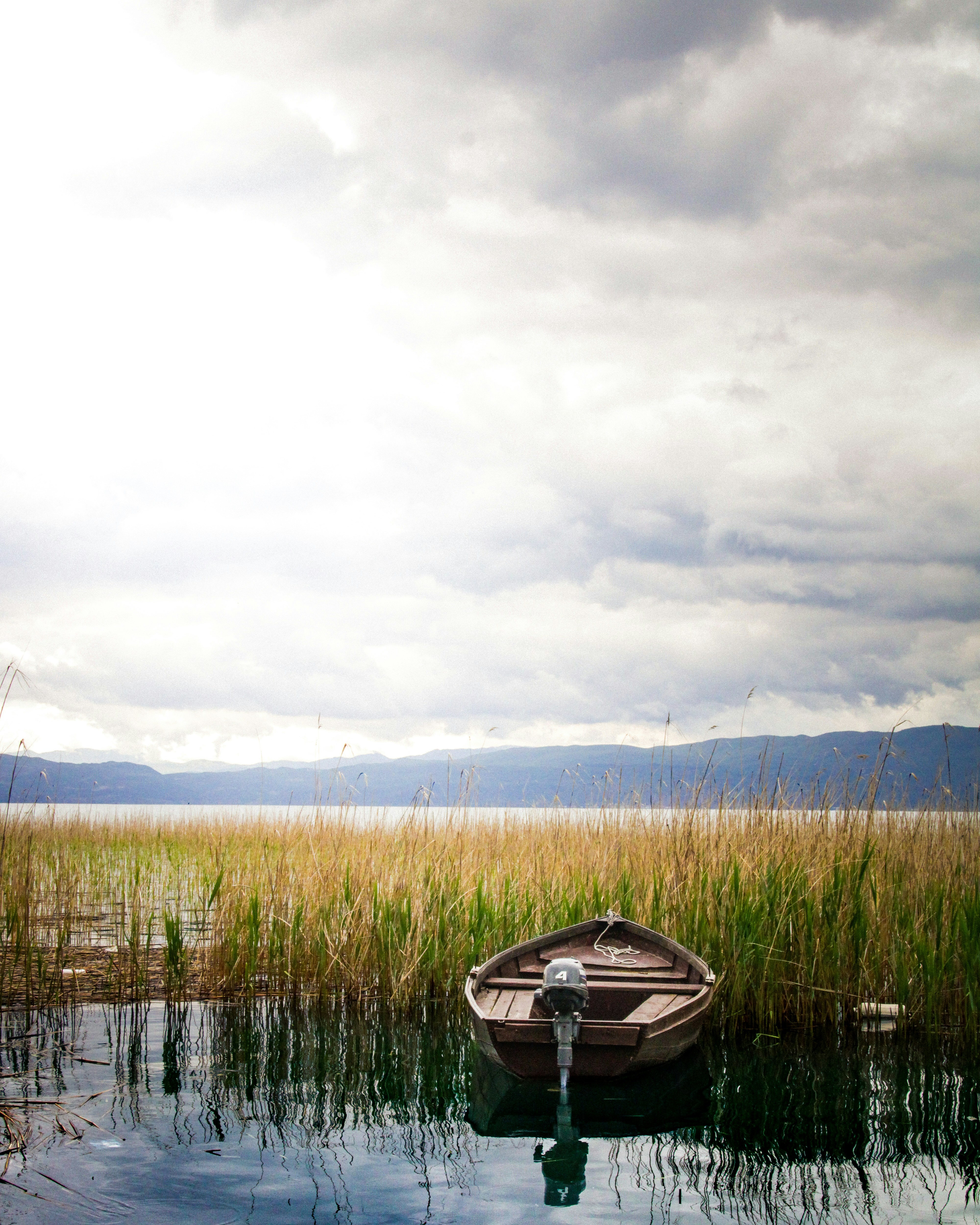 Boat Resting in Reeds at a Misty Lake Edge