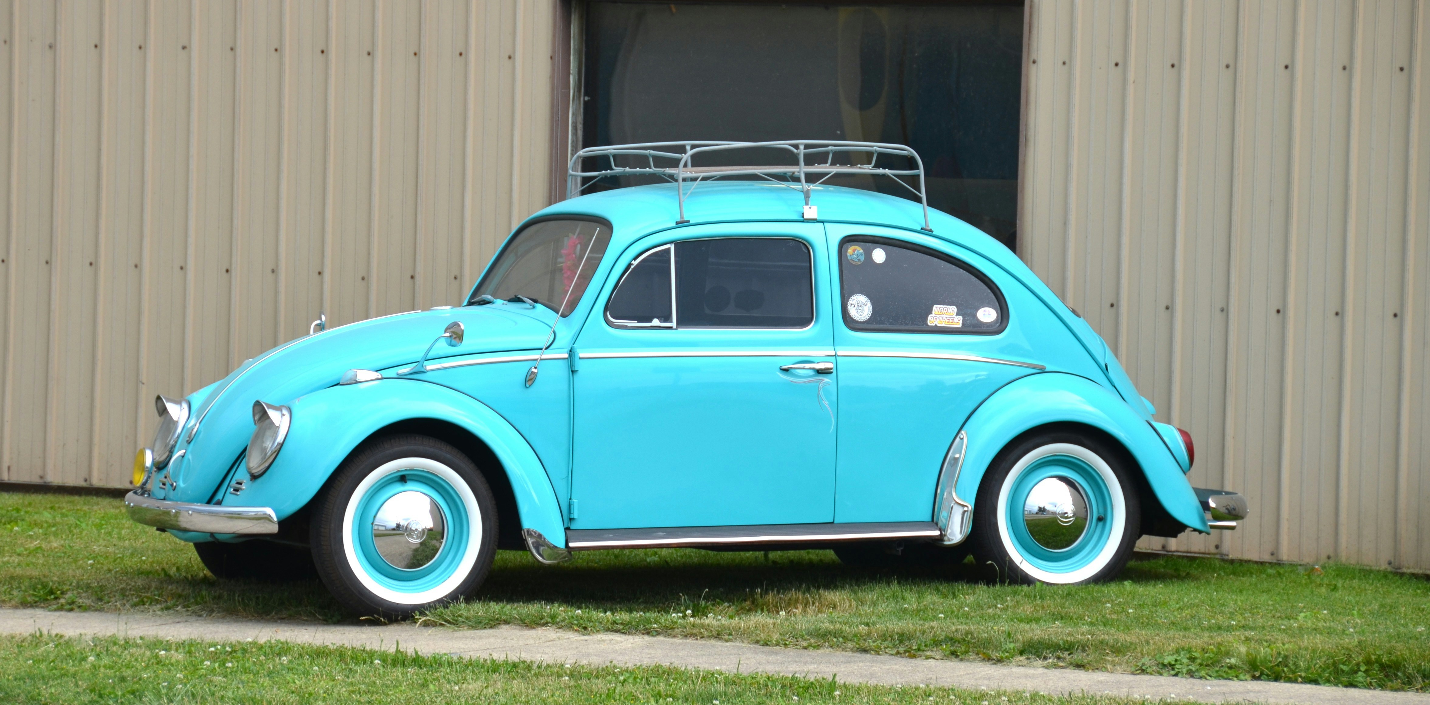 A turquoise beetle resting beside a barnyard