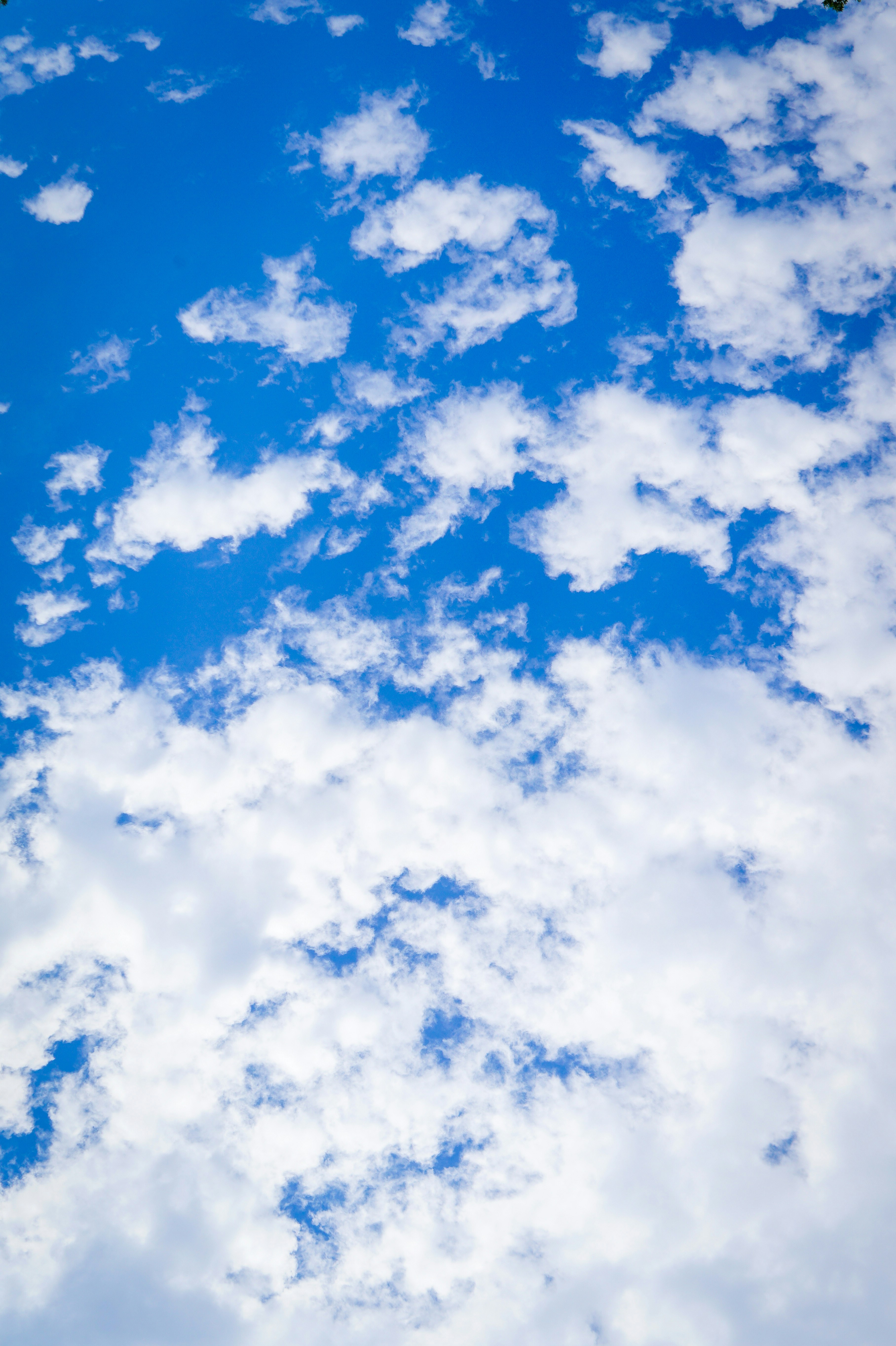 Azure Canvas: Clouds Scattered Across a Clear Day