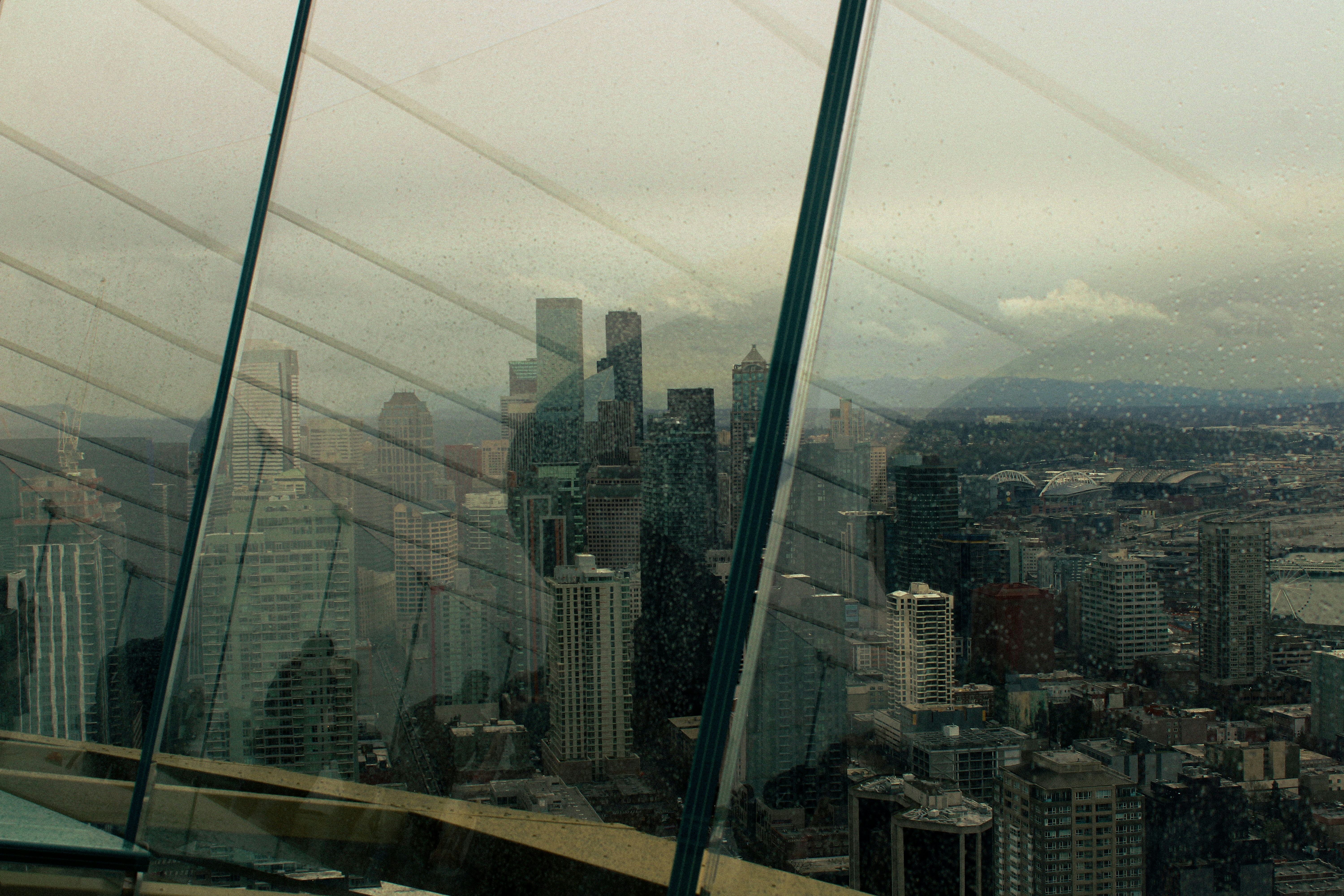 Skyward Glass: Cityscape Framed by Curved Windows