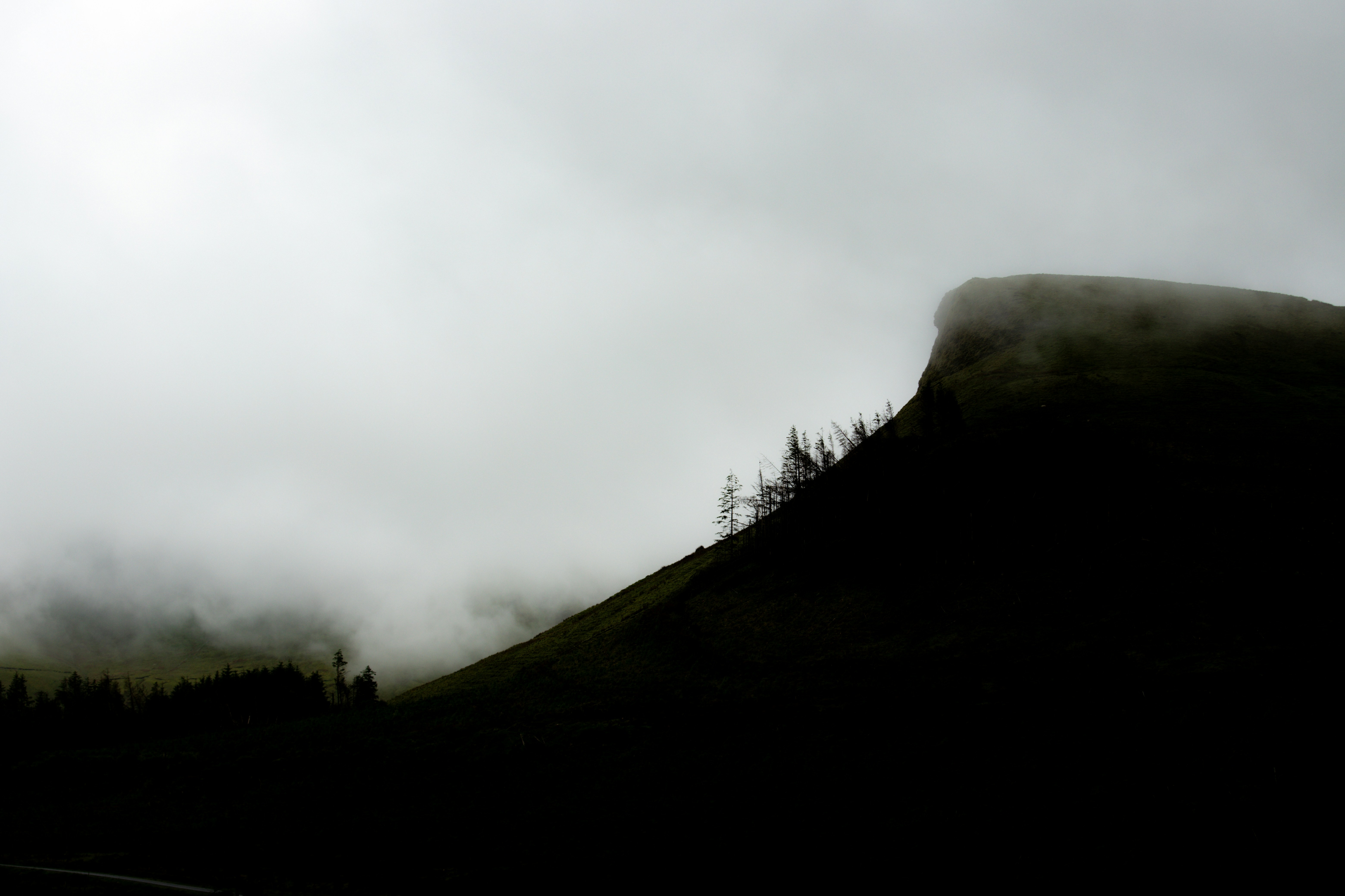 Silhouette on a Mist-Hung Ridge