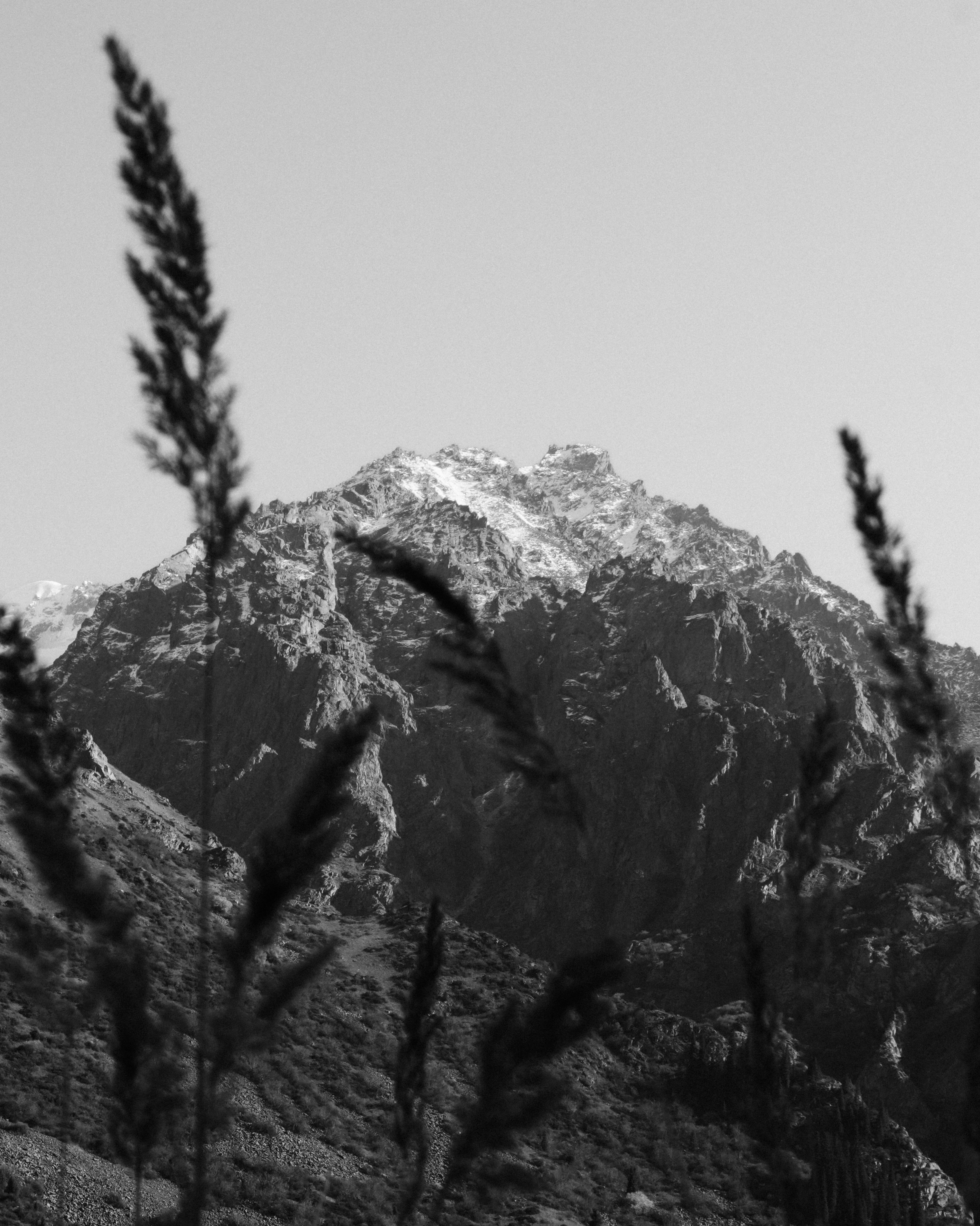 Peak Amid Whispering Grasses: A Mono Mountain Vista