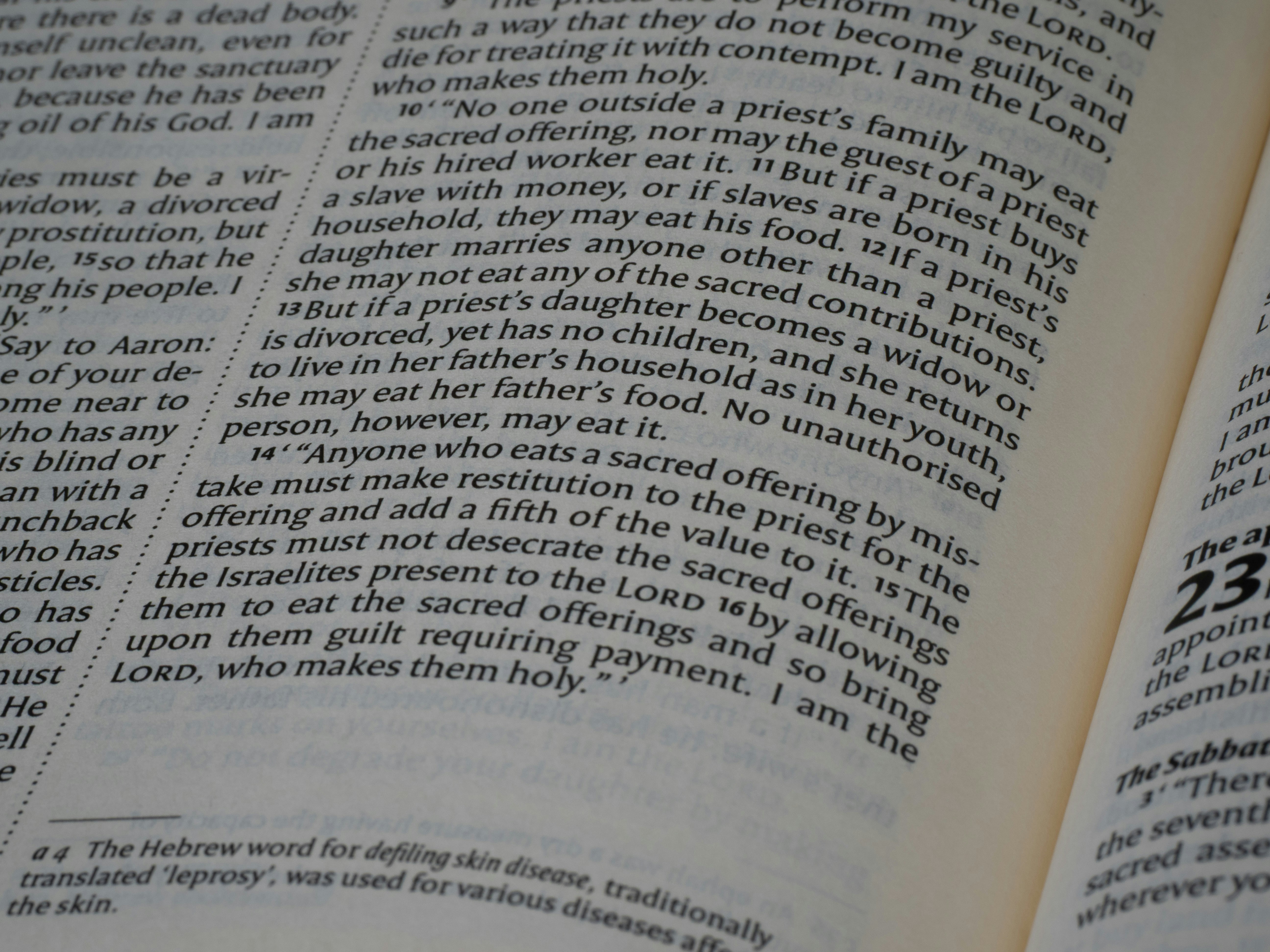The Book of Leviticus