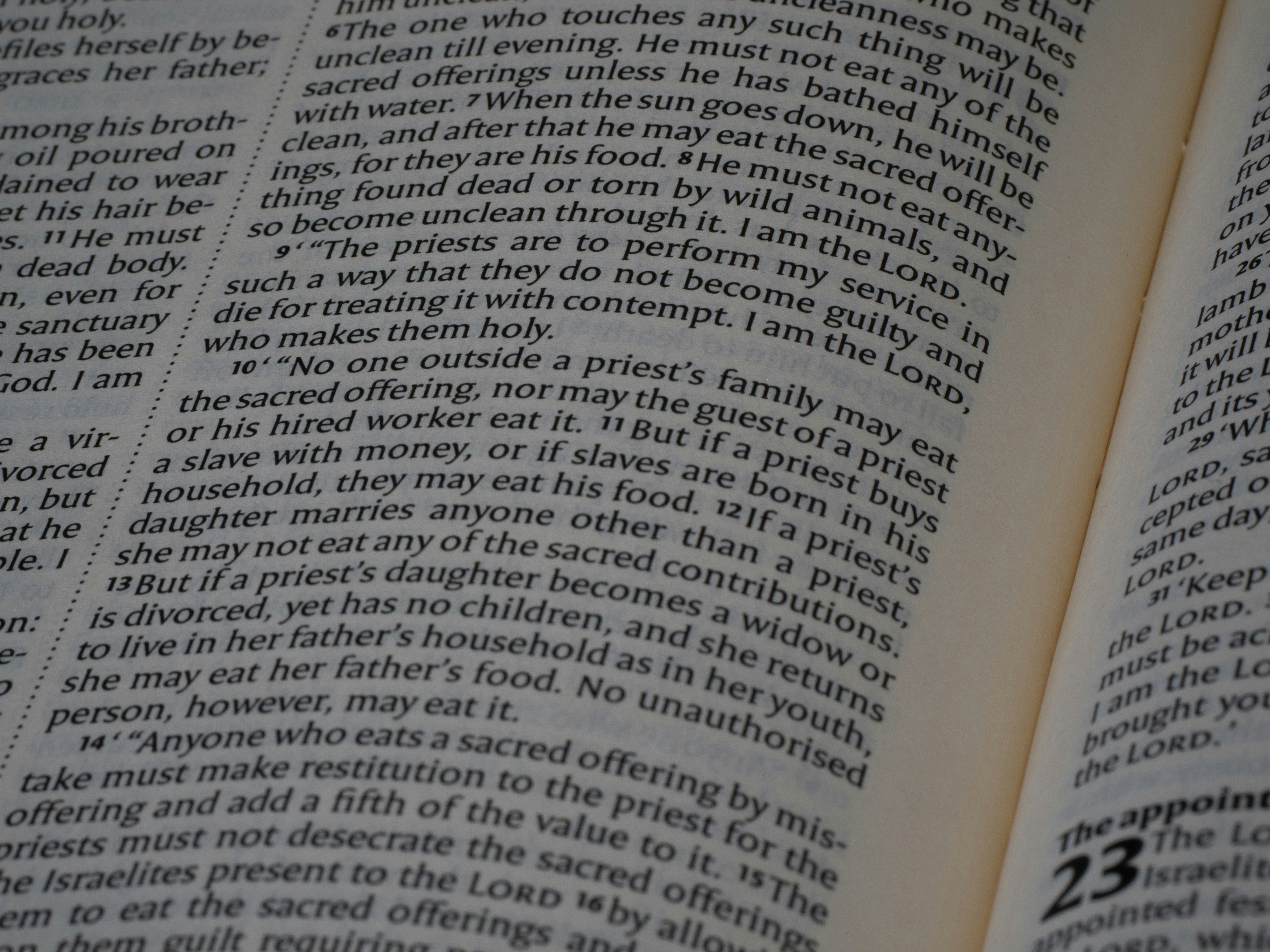 The Book of Leviticus