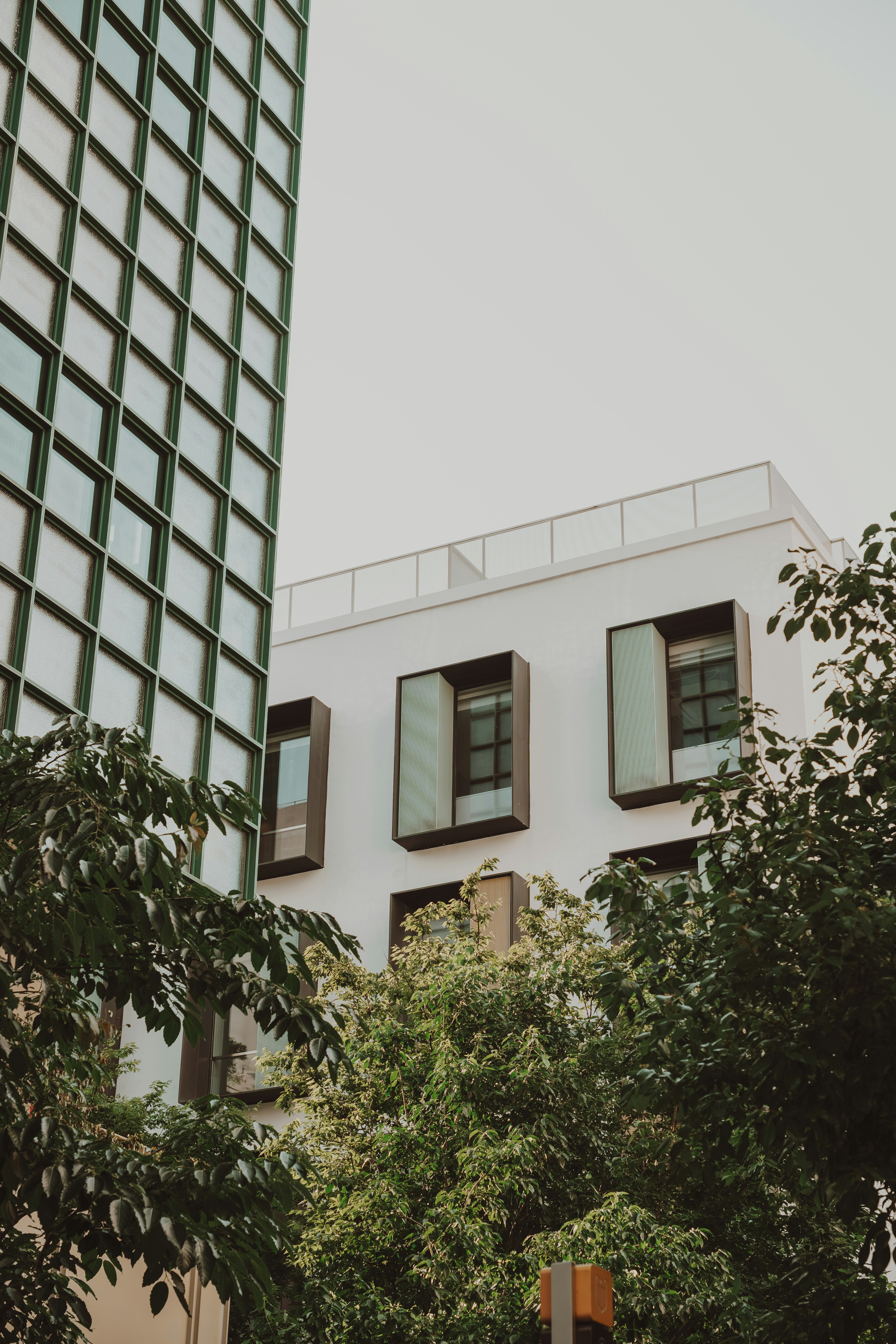 Urban Facade in Soft Light: Windows, Trees, and Concrete Geometry