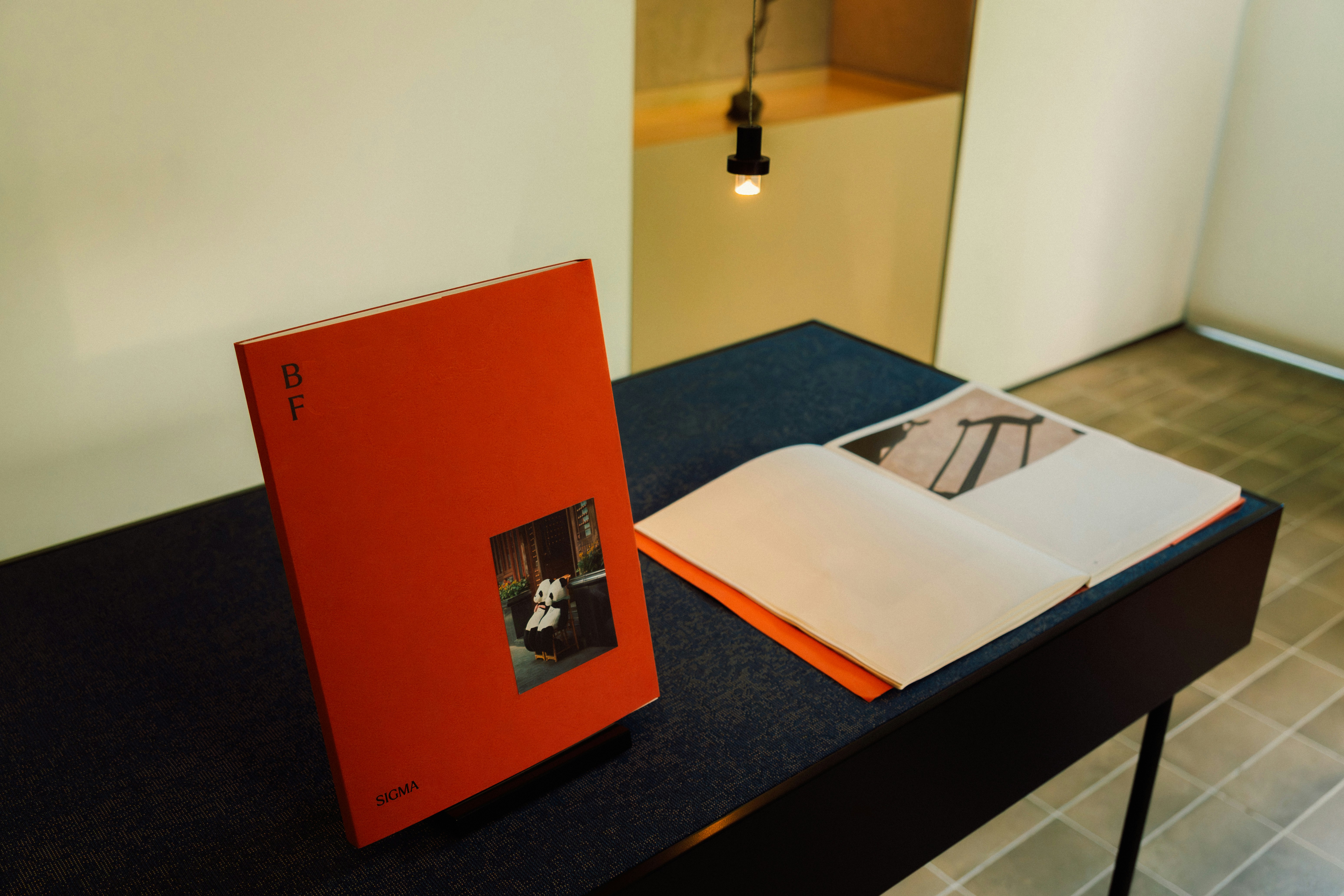 Red book and open book displayed on a dark surface.