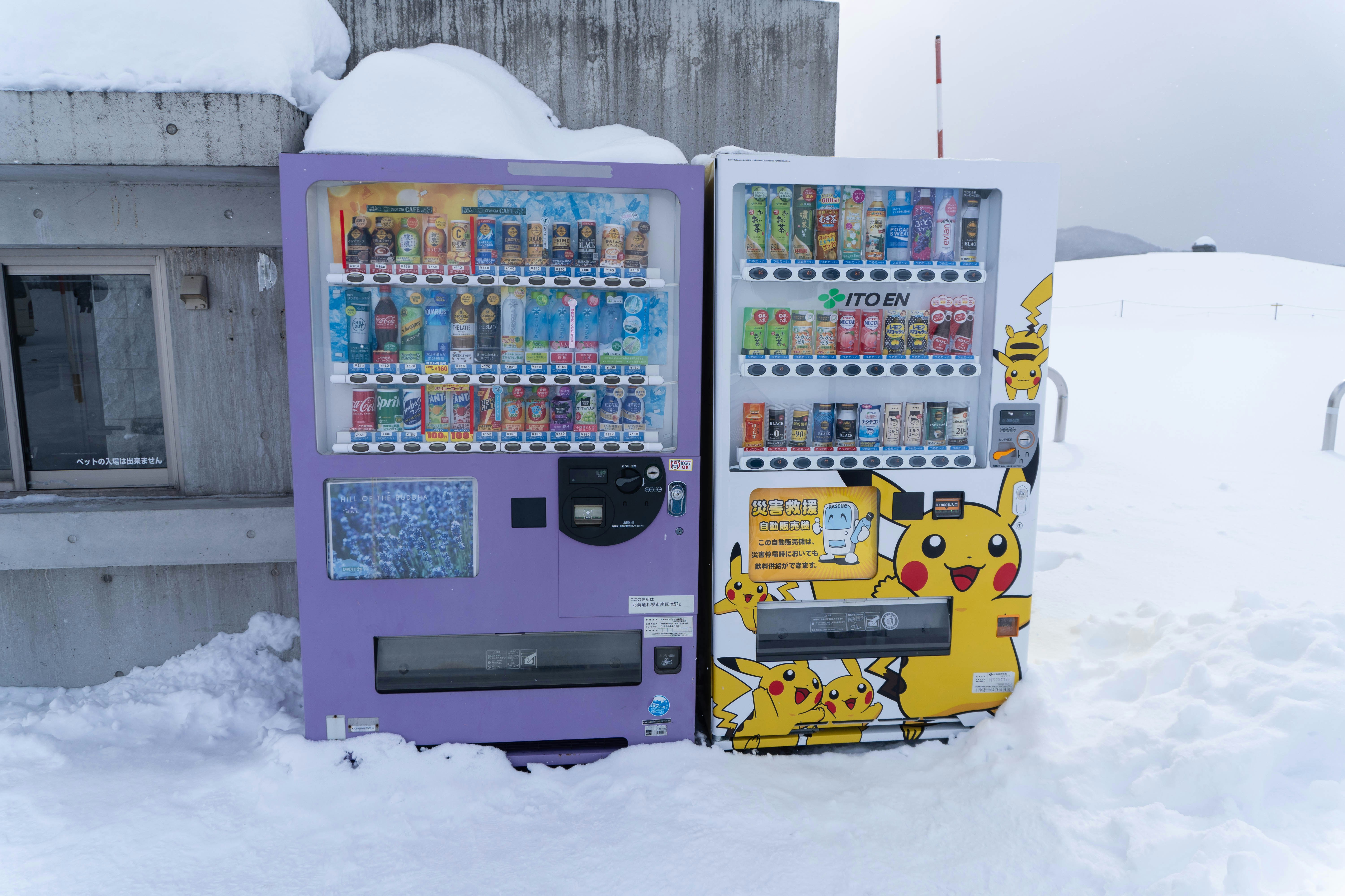 Snowbound Vending Duo