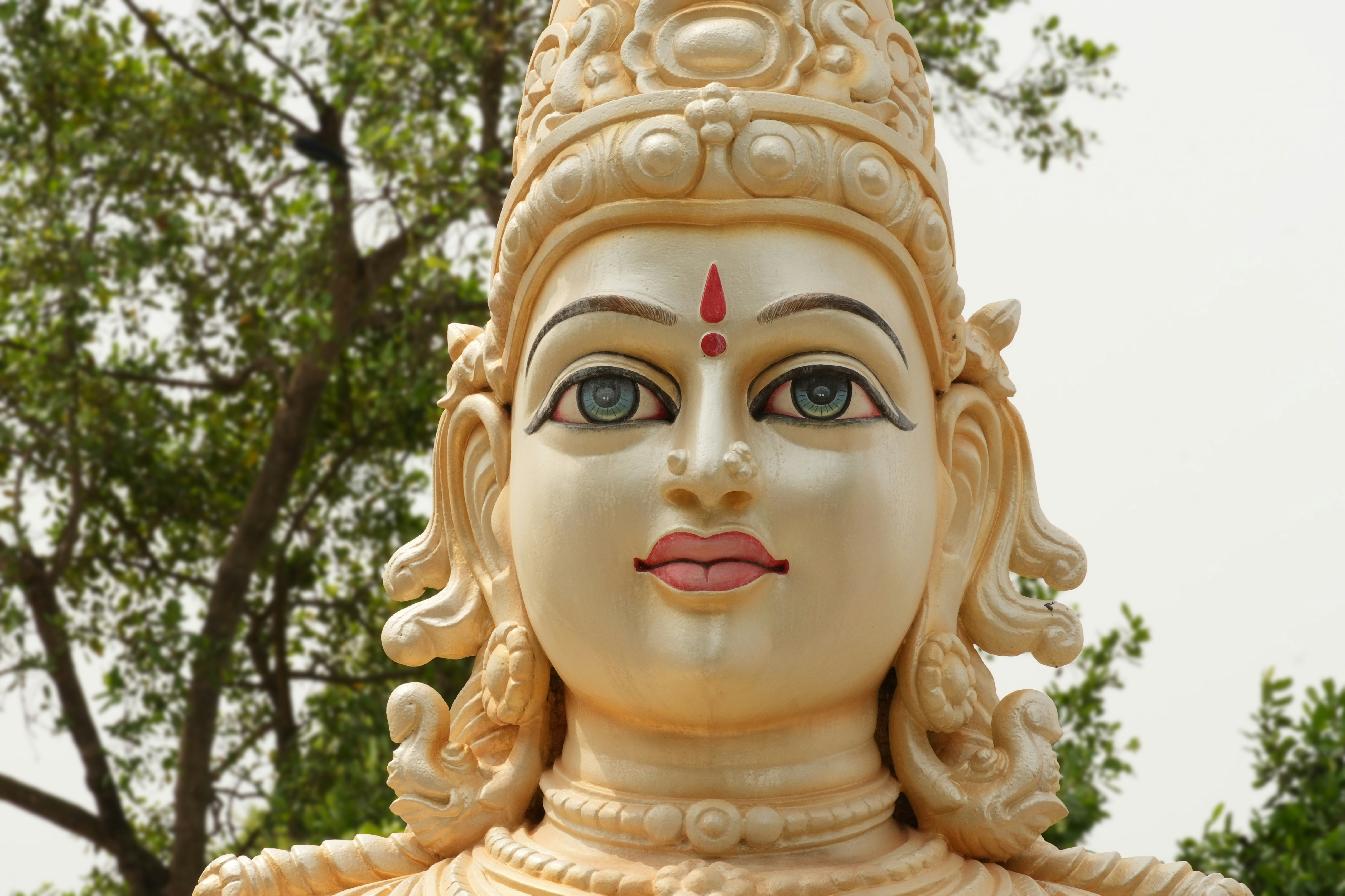 Divine Gaze: A Grand Bust of a Regal Statue Under Quiet Foliage