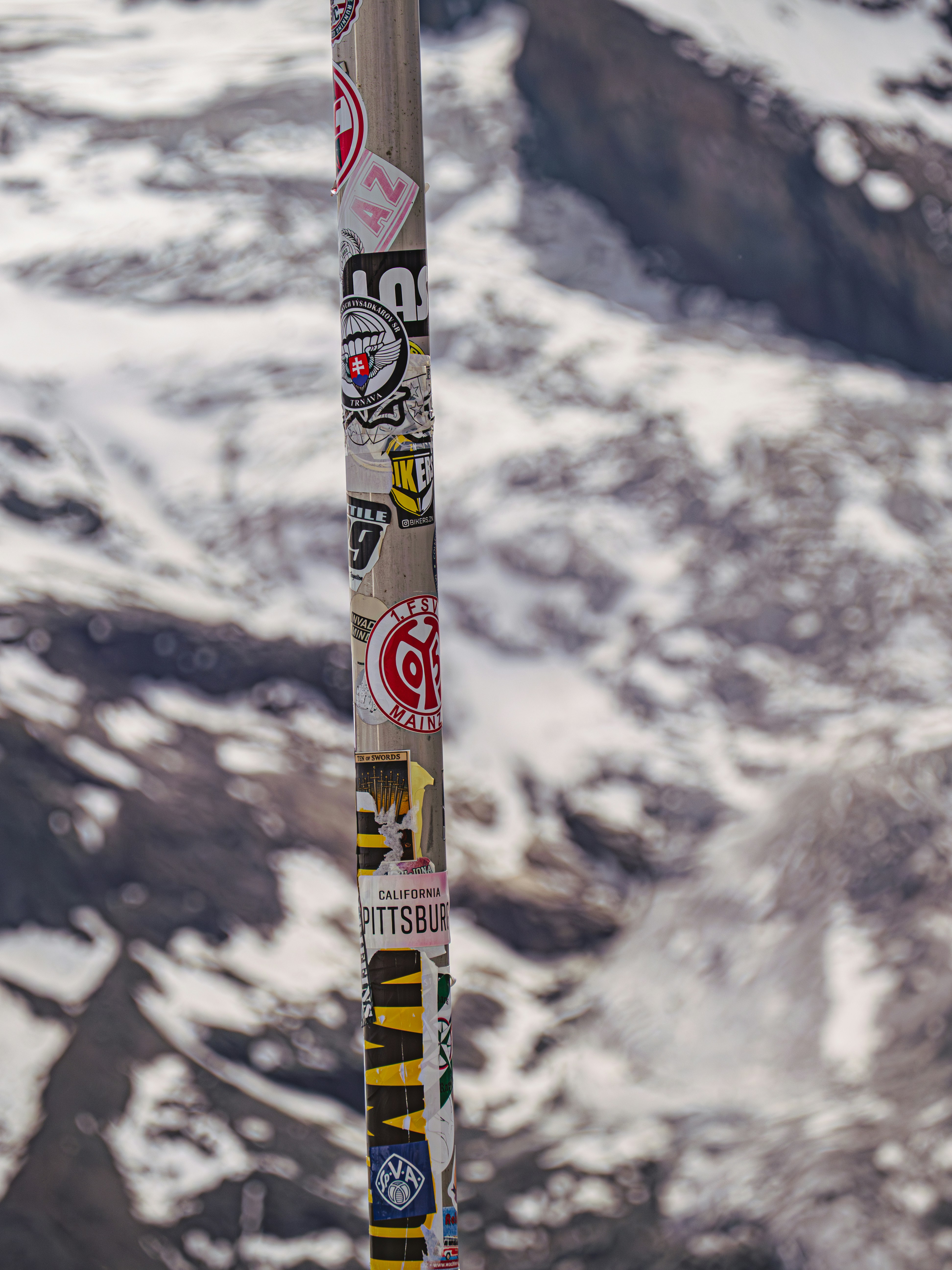 Stickered Summit Pole: A Vertical Slice of Mountain Silence