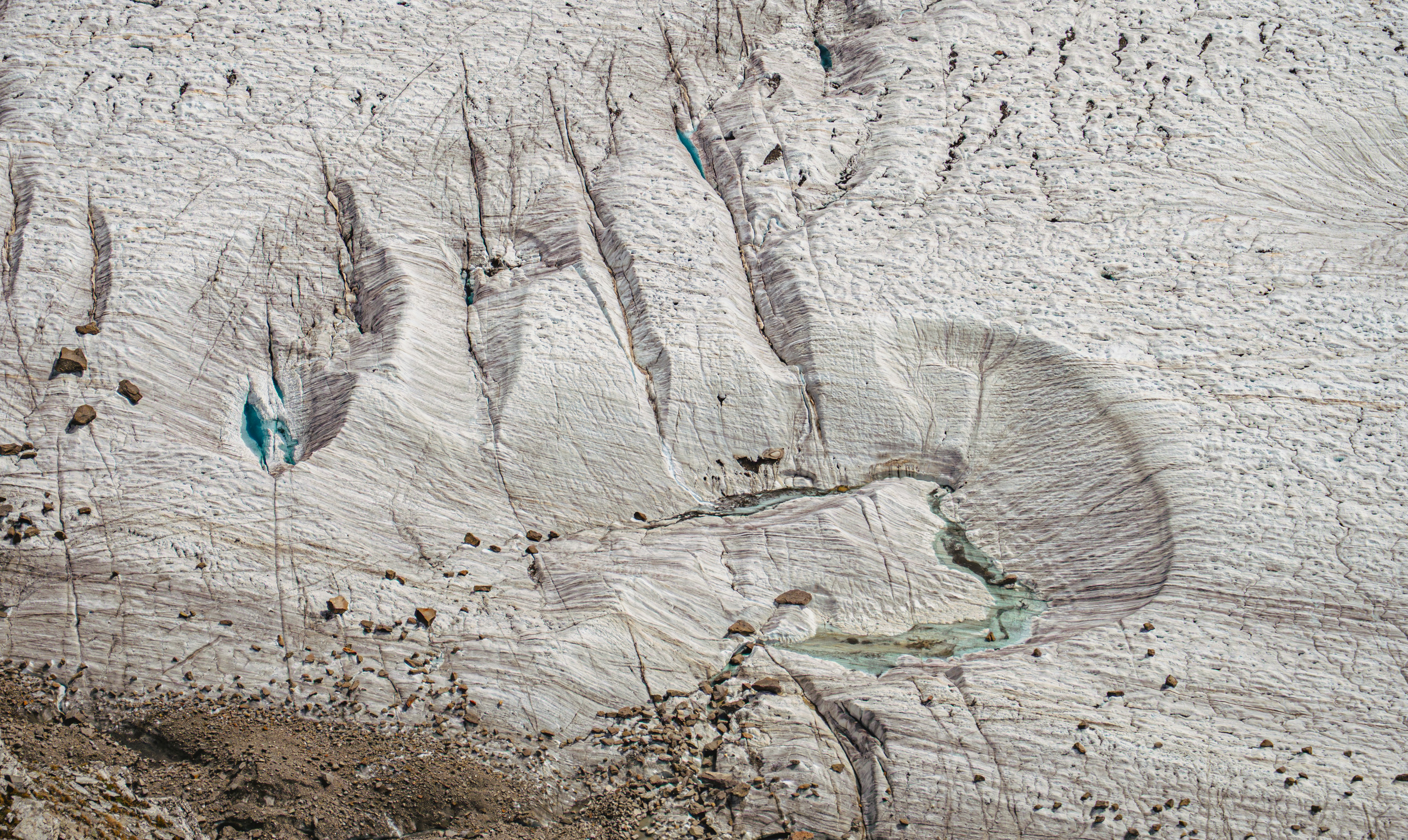 Ghost of a Painted Shoreline: Subtle Intaglio in Wet Sand