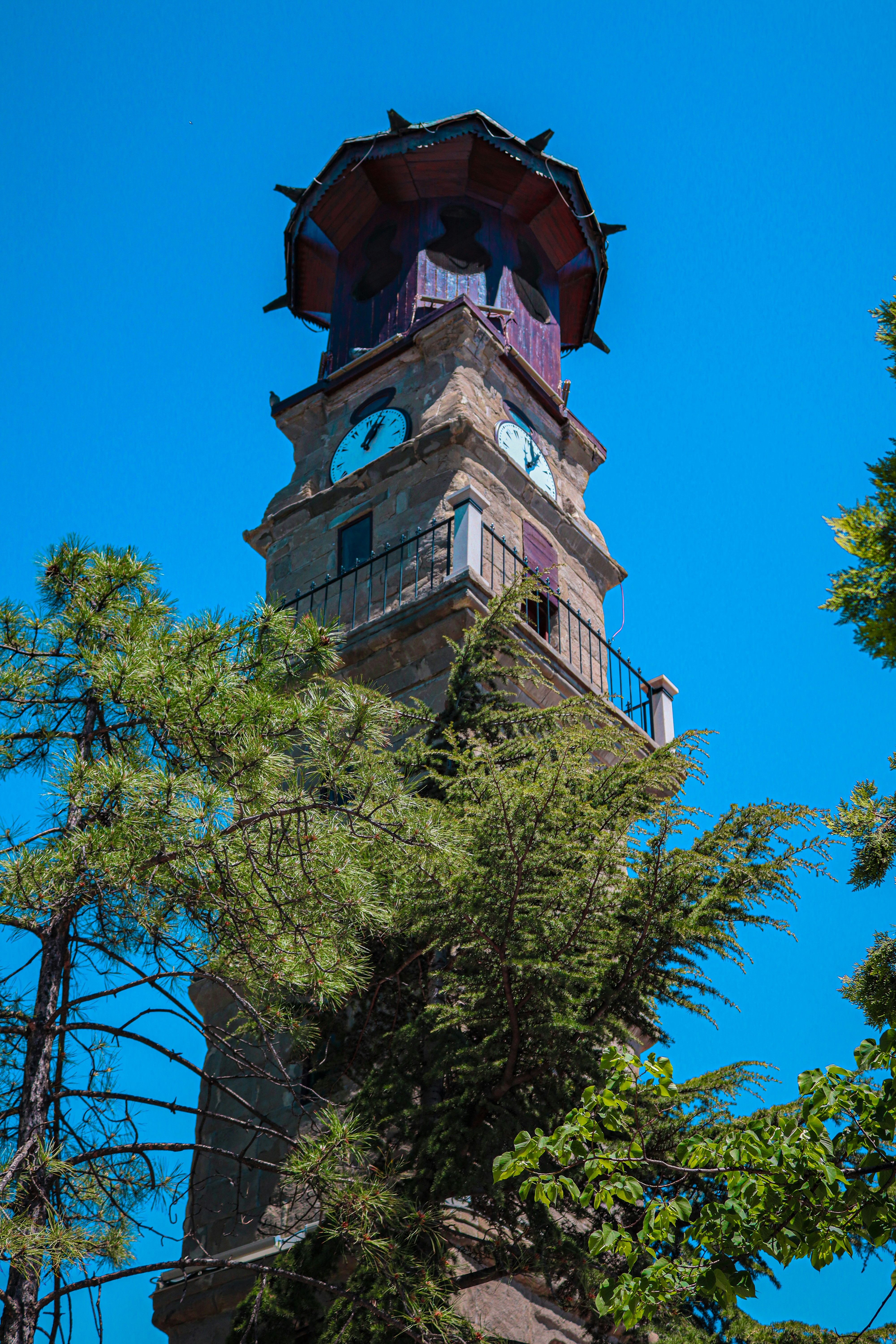 Clock Tower Soaring Above Green Canopy Under Azure Sky