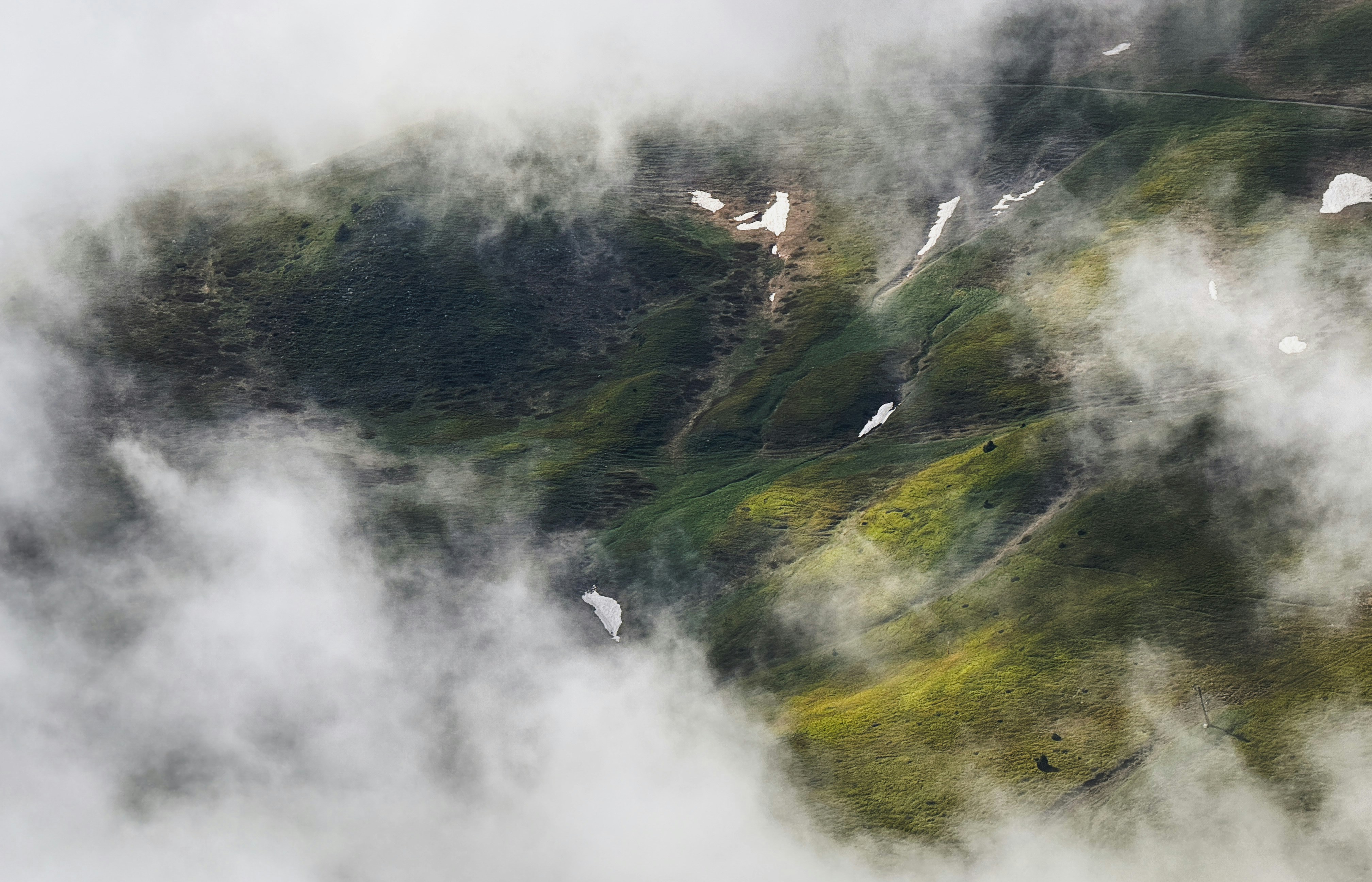 Mist-Laced Alpine Tapestry